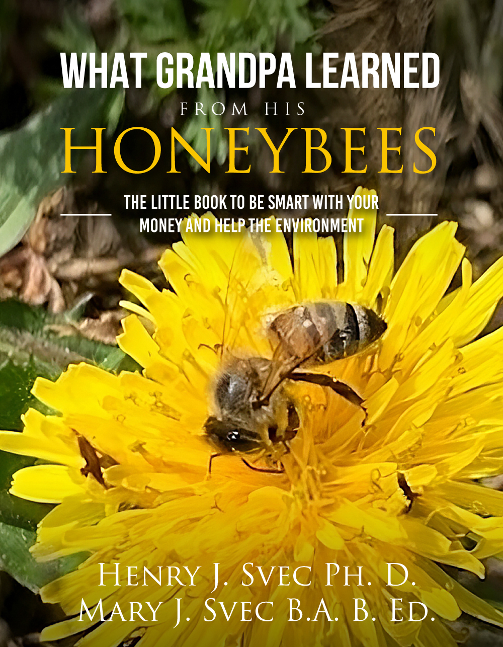 What Grandpa Learned from His Honeybees: The little book to be smart ...