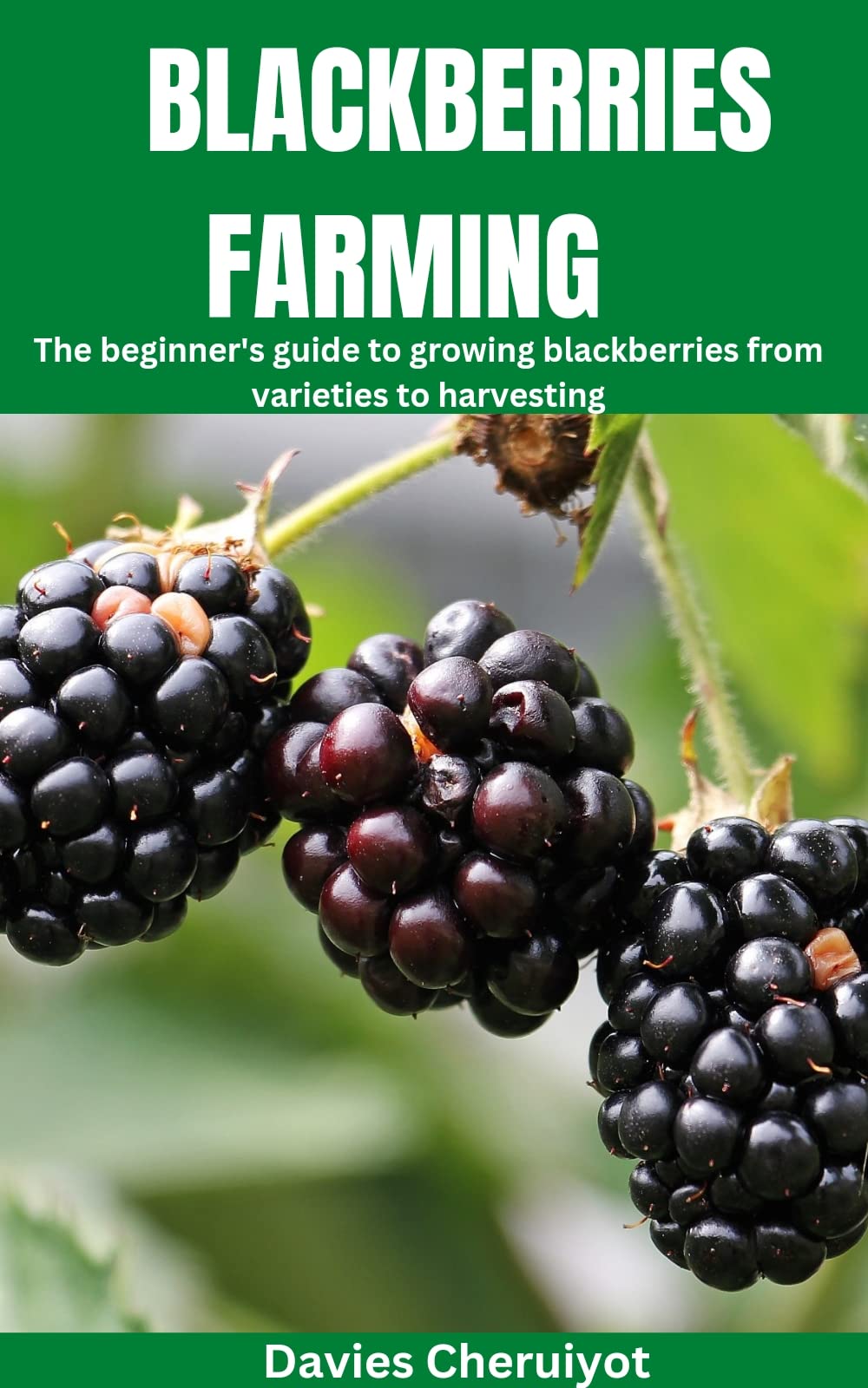 BLACKBERRIES FARMING: The beginner's guide to growing blackberries from ...