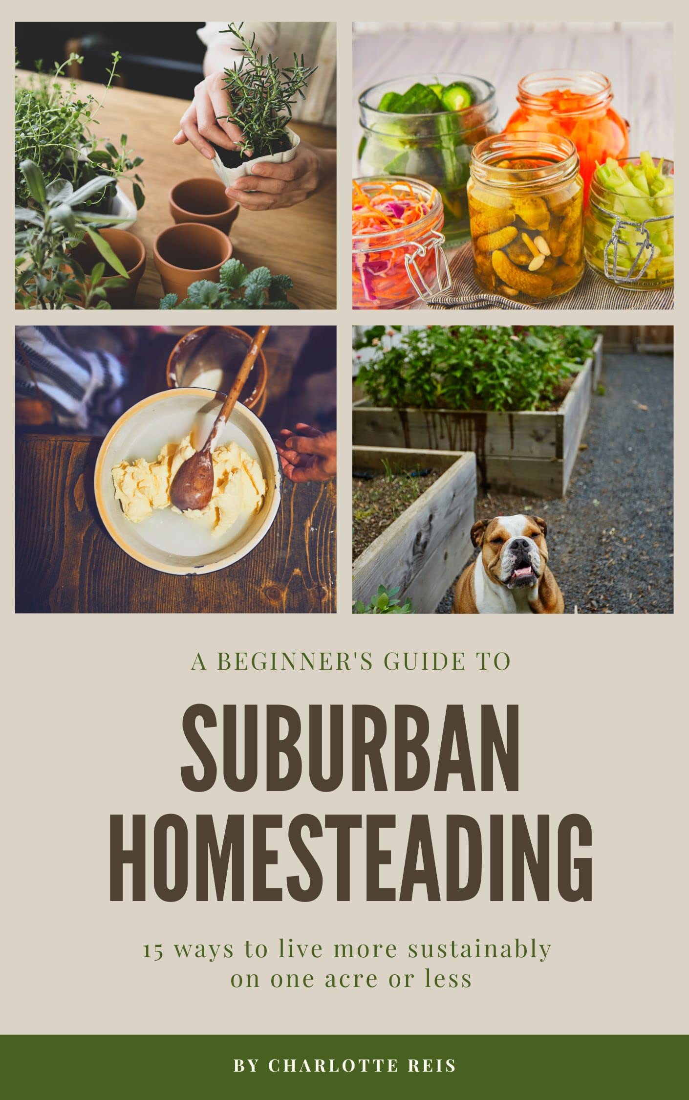 A Beginner's Guide To Suburban Homesteading: 15 ways to live more ...