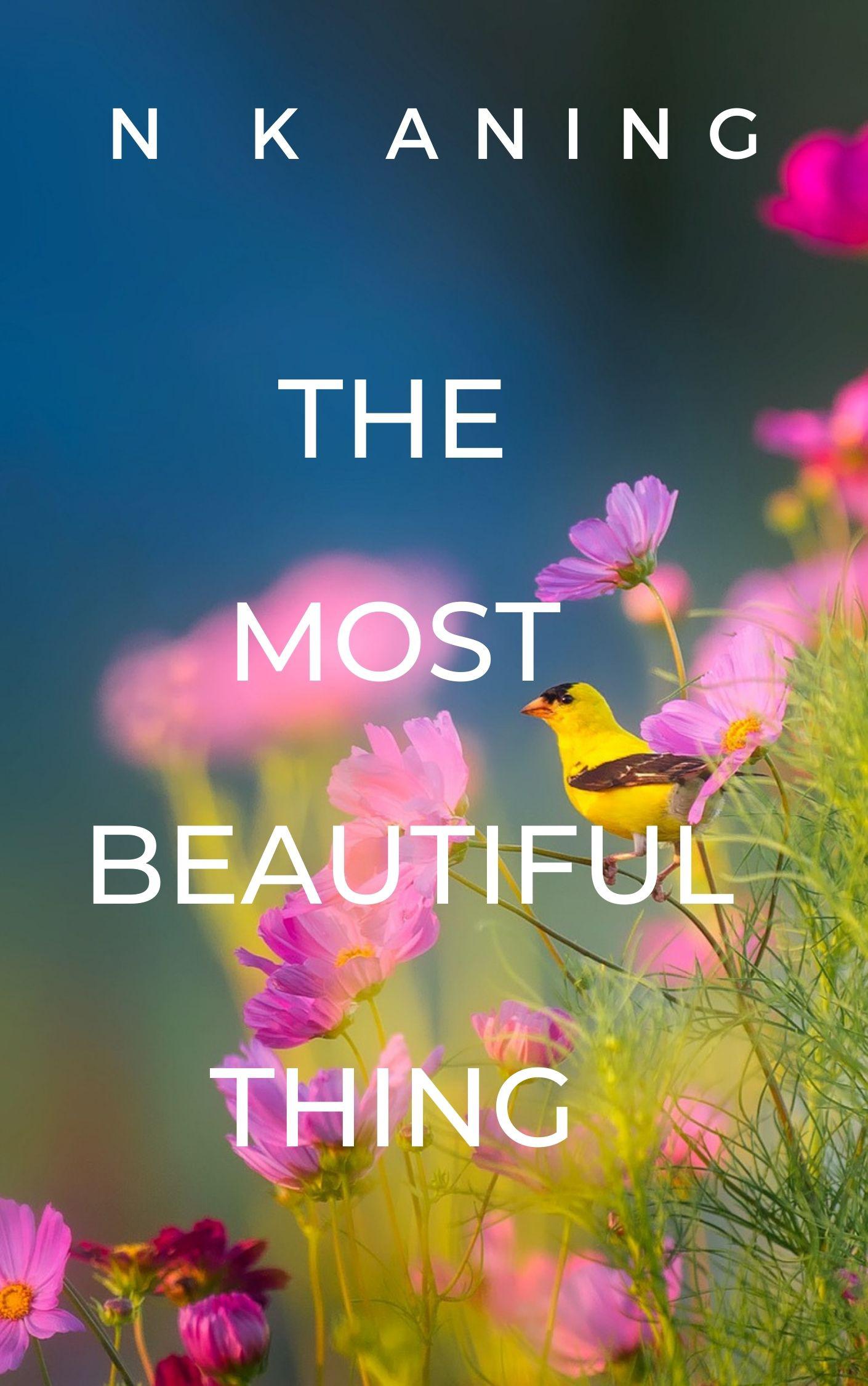 The Most Beautiful Thing by N.K. Aning | Goodreads