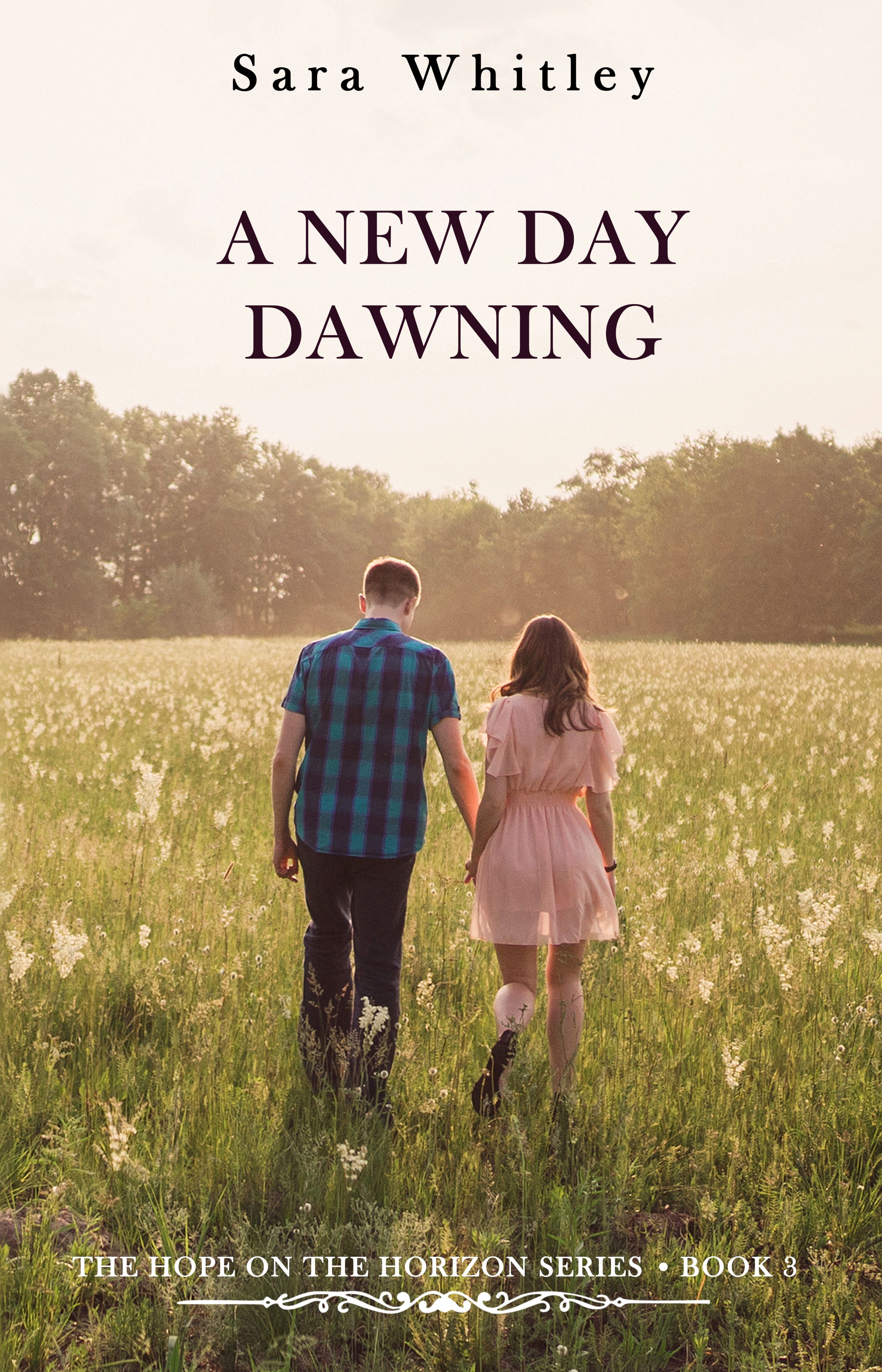 A New Day Dawning (Hope on the Horizon, #3) by Sara Whitley | Goodreads