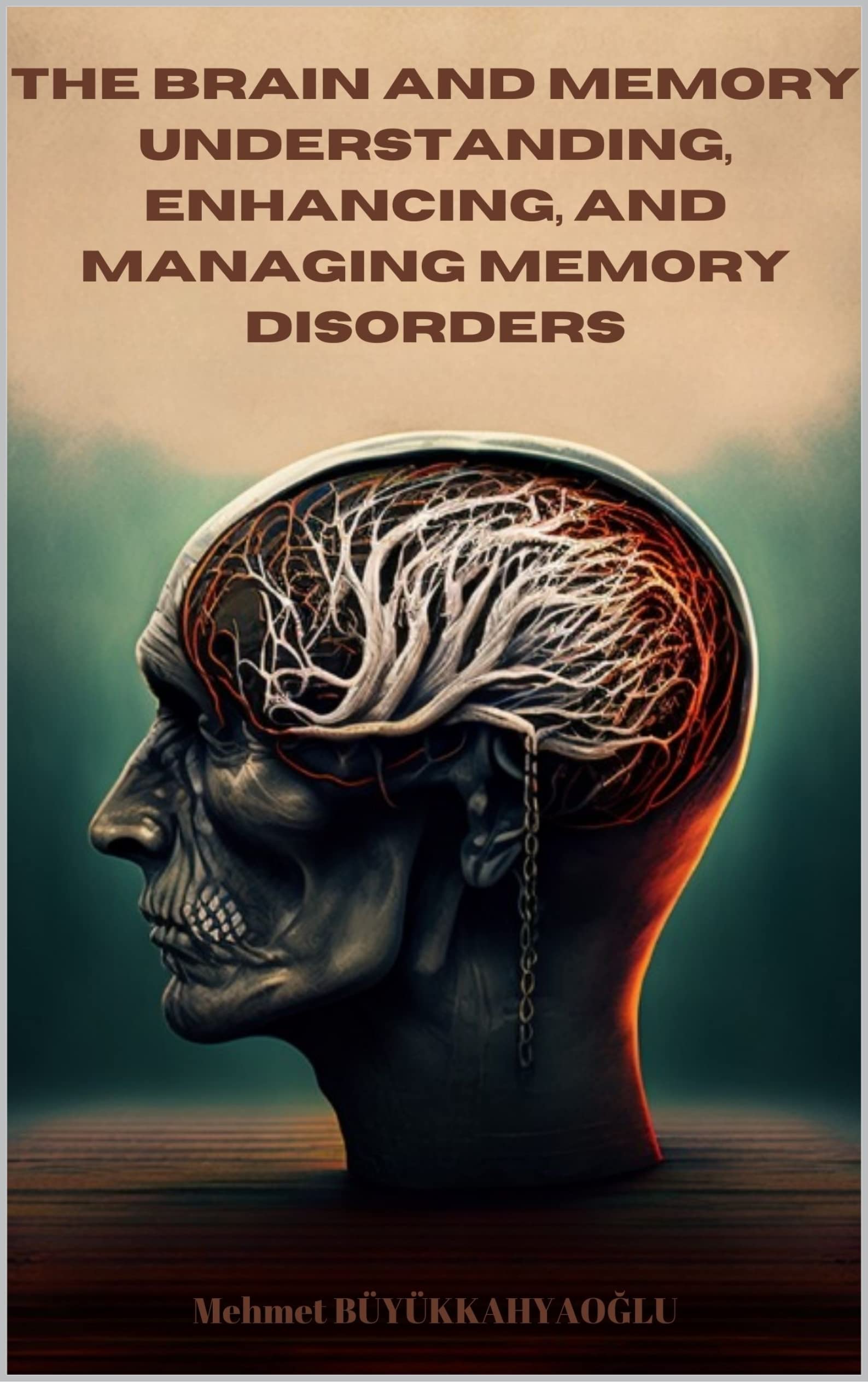 The Brain and Memory Understanding, Enhancing, and Managing Memory ...
