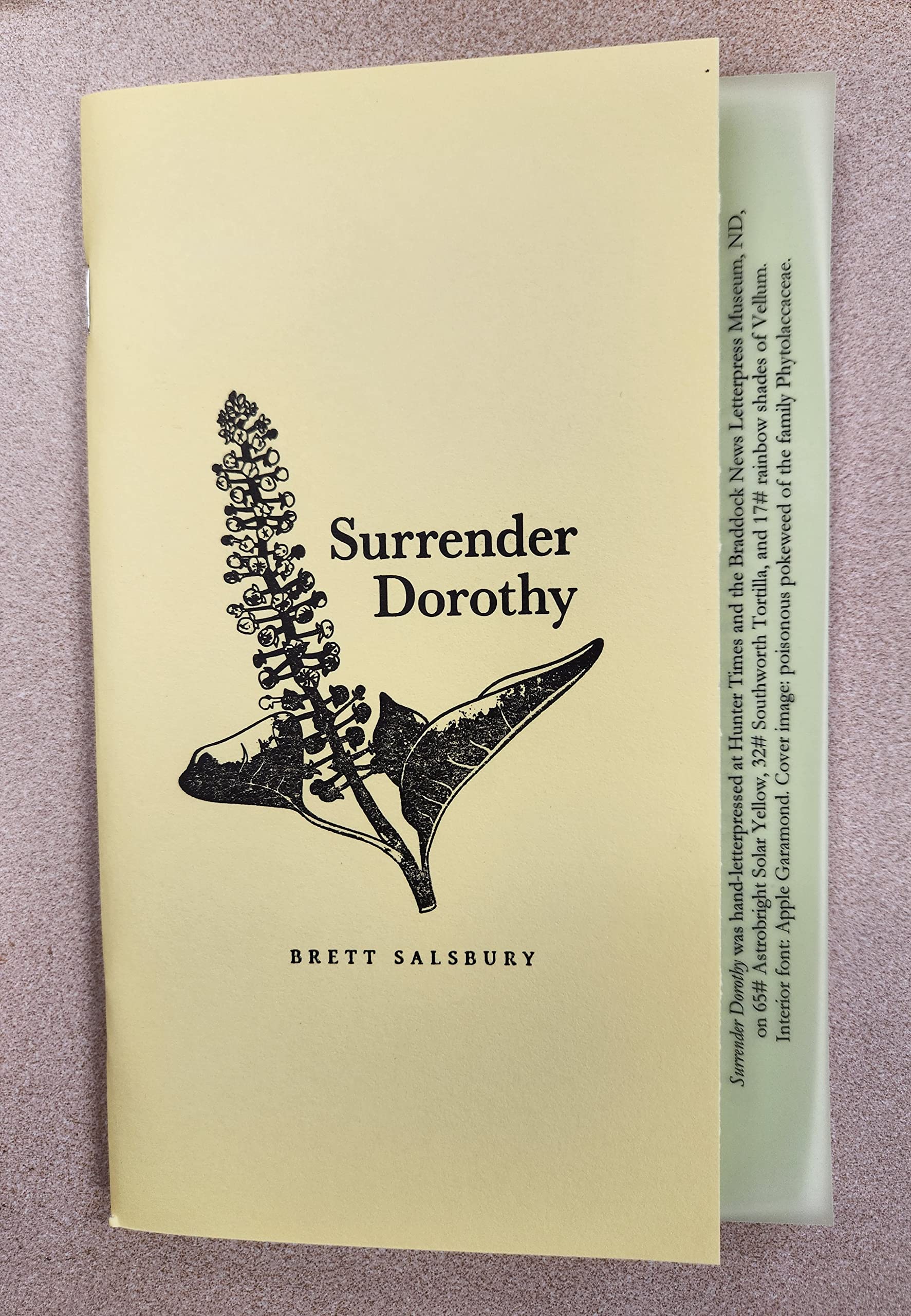 Surrender Dorothy by Brett Salsbury | Goodreads