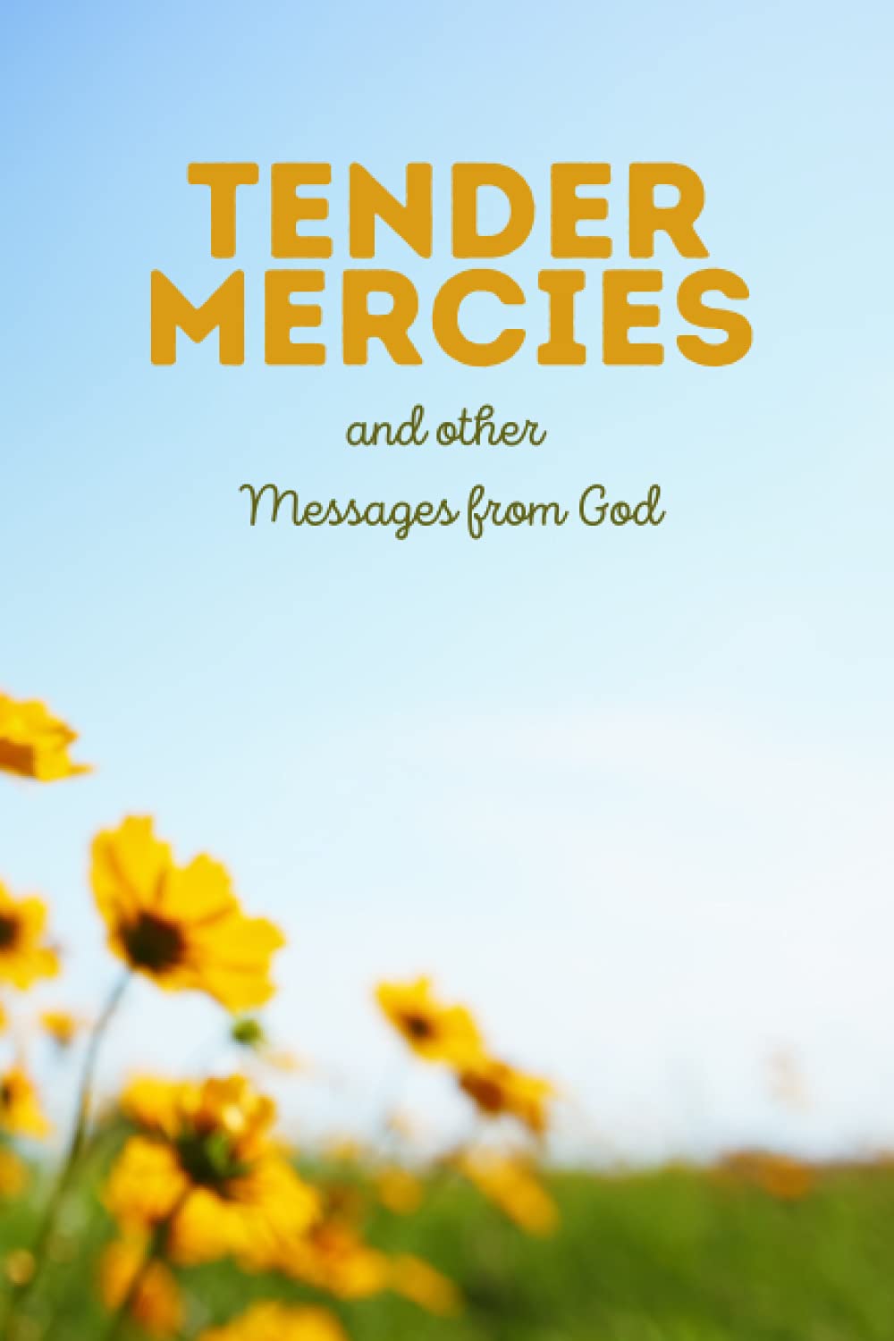 Tender Mercies and other messages from God: A Journal by T Olson ...