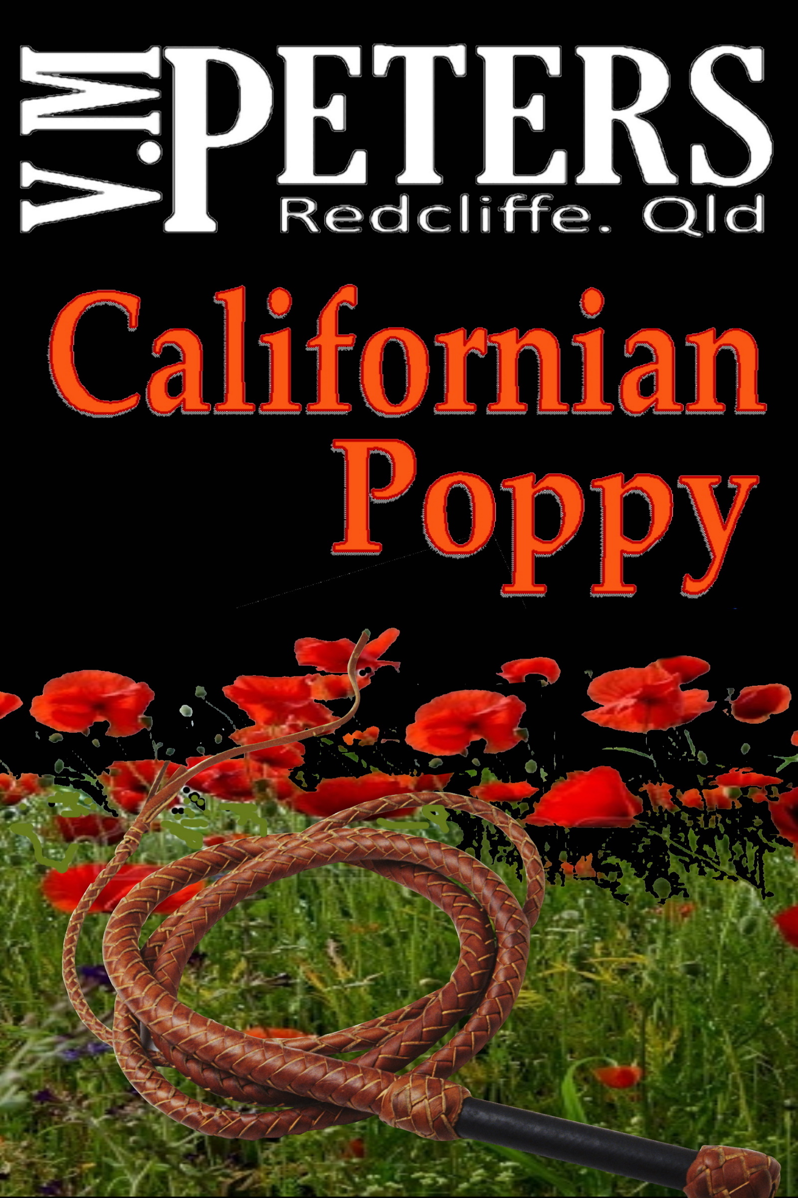 Californian Poppy: A Love Story by Vlady Peters | Goodreads