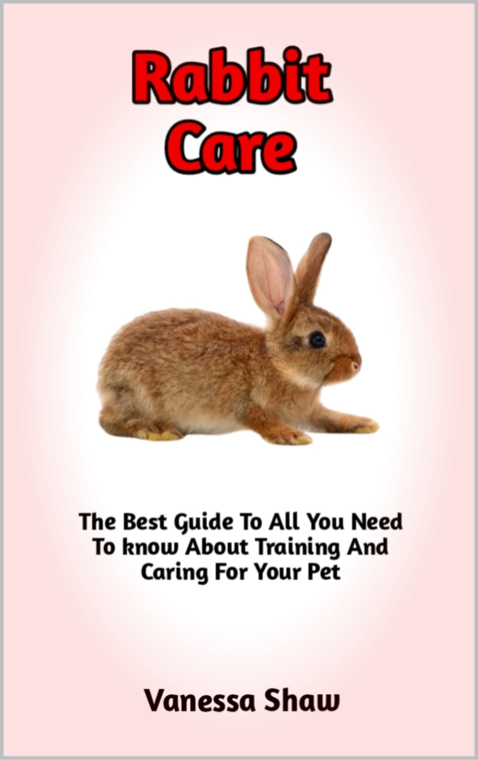 Rabbit Care: The Best Guide On Training, Feeding, Housing, Cost, Where ...