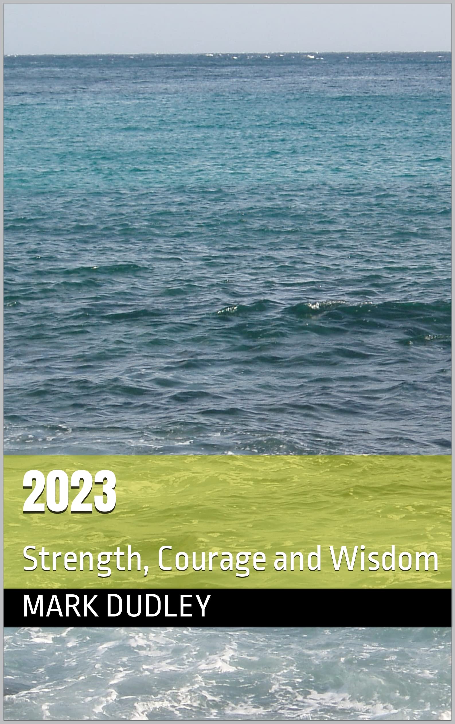 2023: Strength, Courage and Wisdom by Mark Dudley | Goodreads