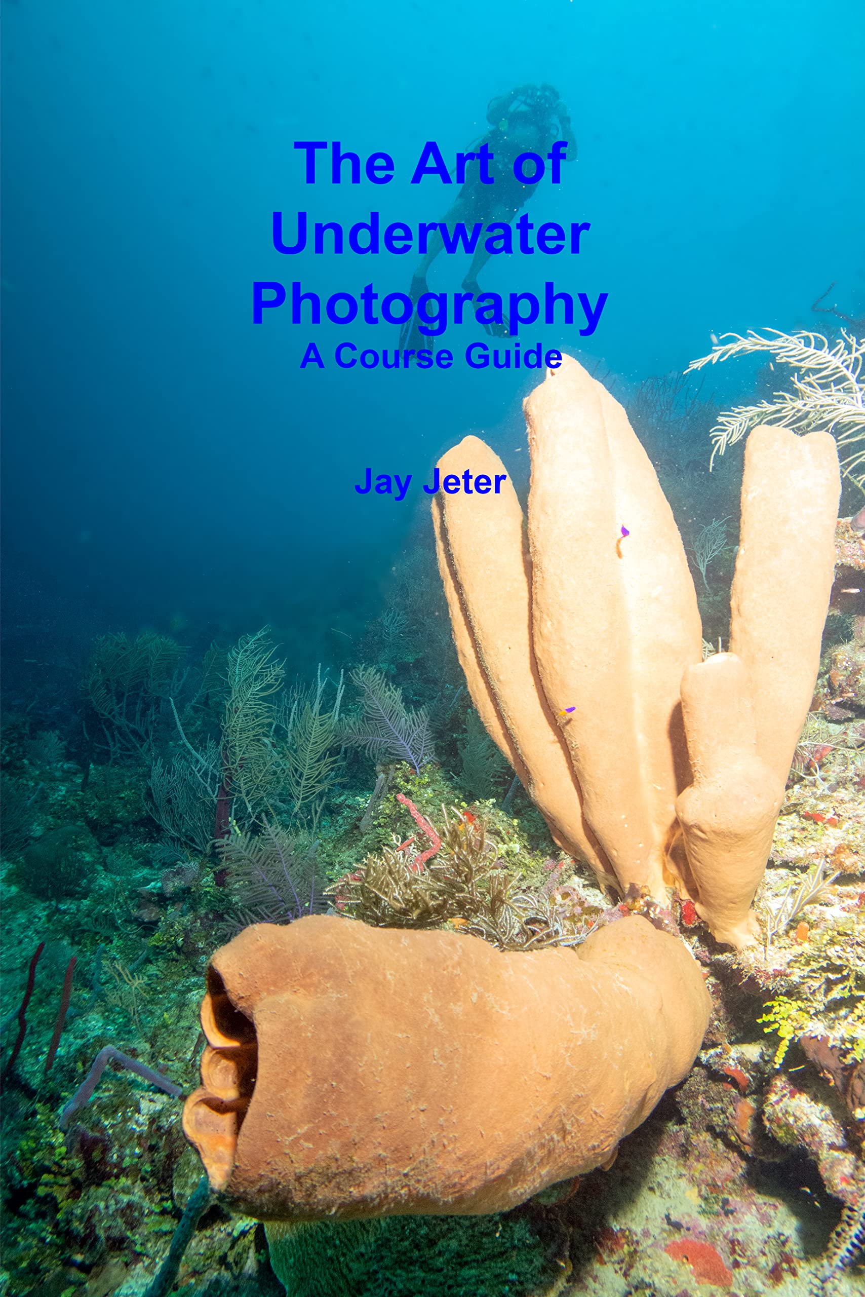 The Art of Underwater Photography: A Course Guide by Jay Jeter | Goodreads