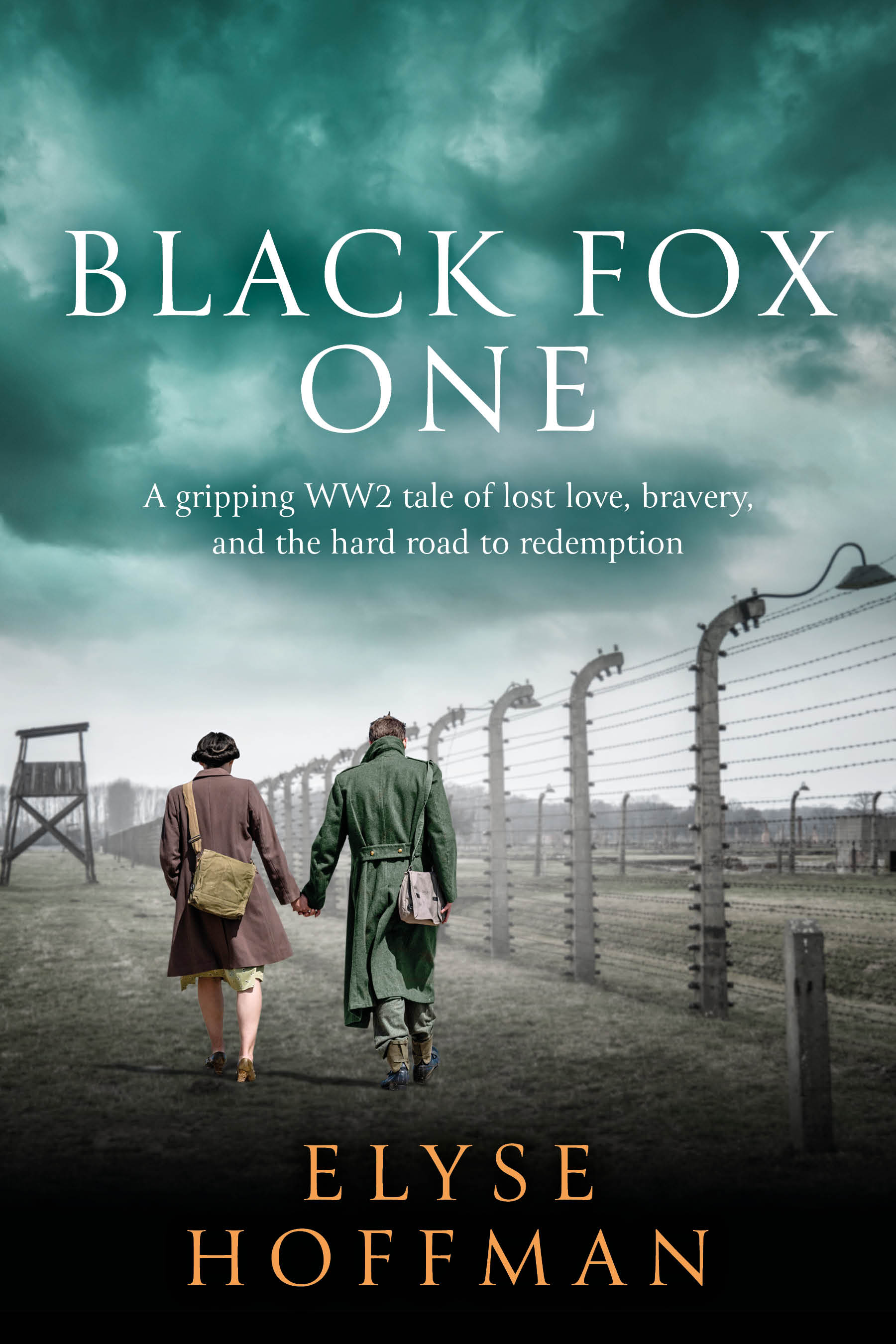 Black Fox One (Project 613) by Elyse Hoffman | Goodreads