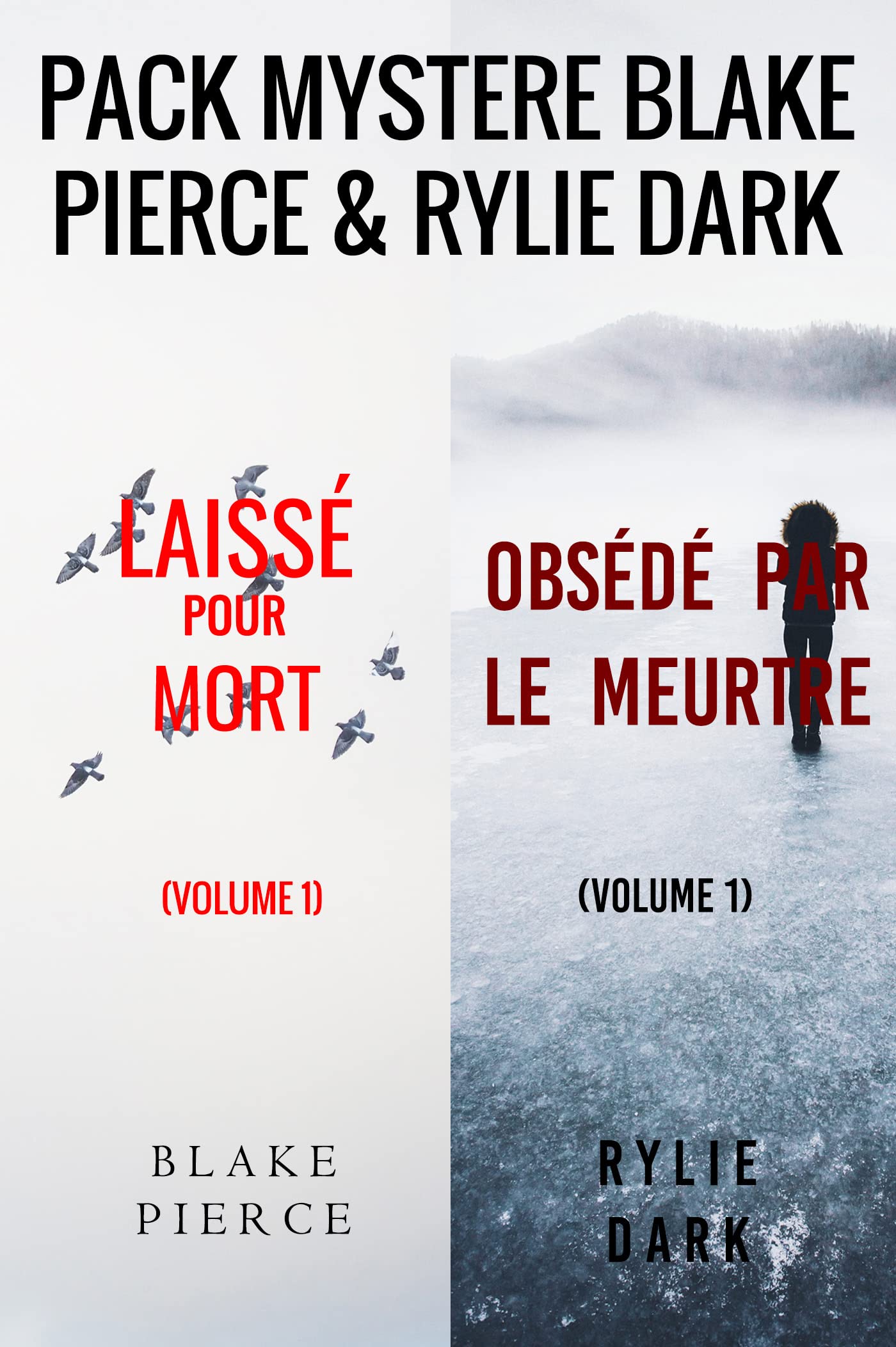 Pack mystère Blake Pierce & Rylie Dark : Laissé pour mort / Obsédé par ...