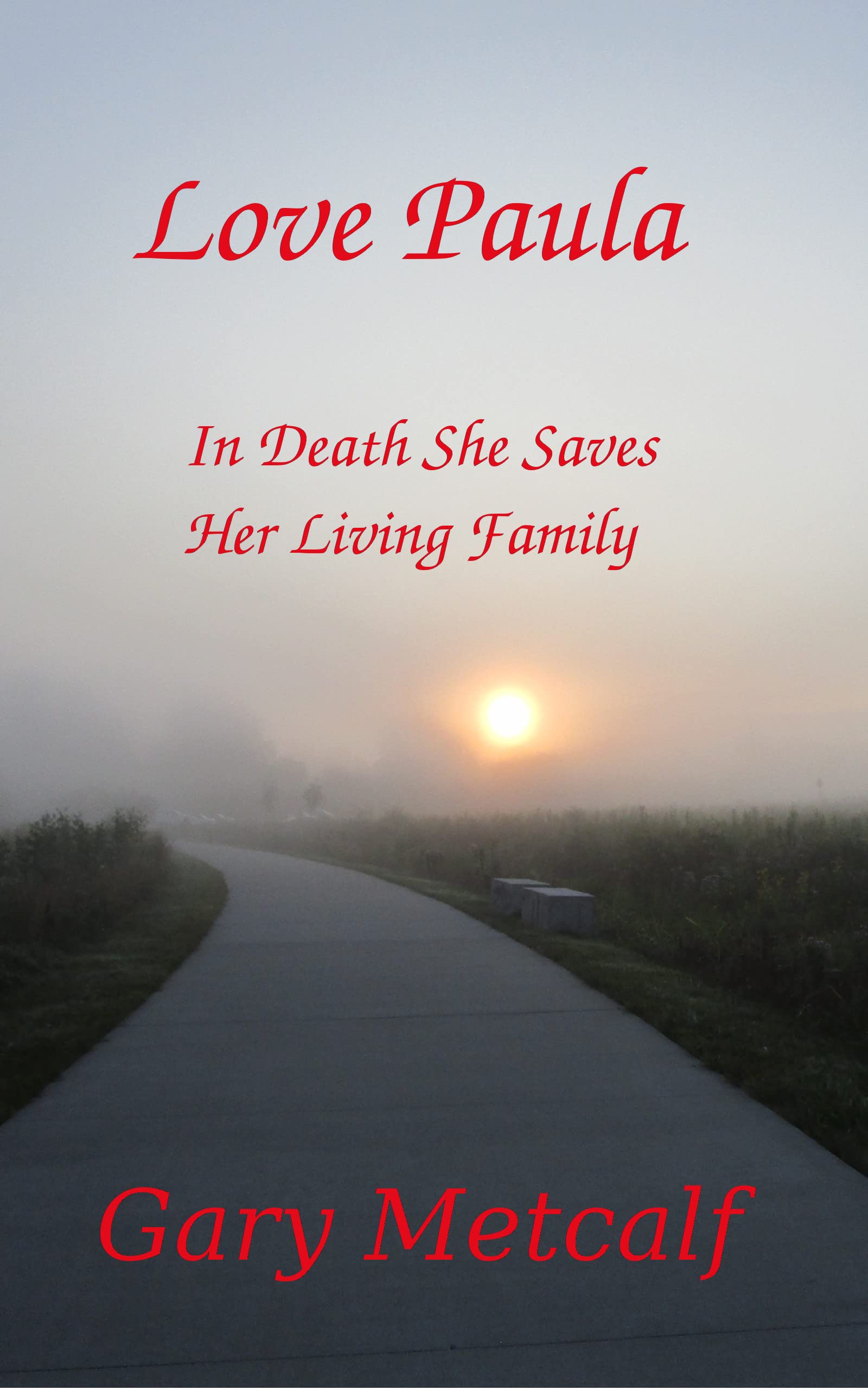Love Paula: In Death She Saves Her Living Family by Gary Metcalf ...
