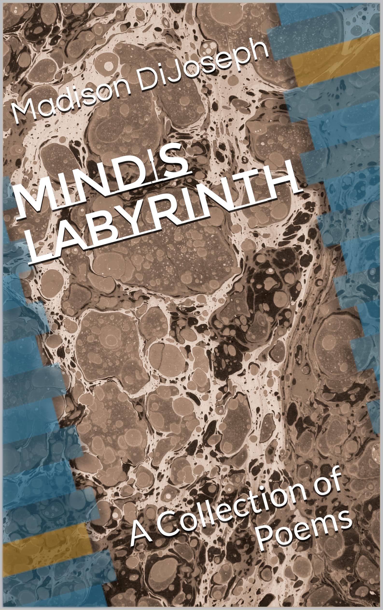 Mind's Labyrinth : A Collection of Poems by Madison DiJoseph | Goodreads