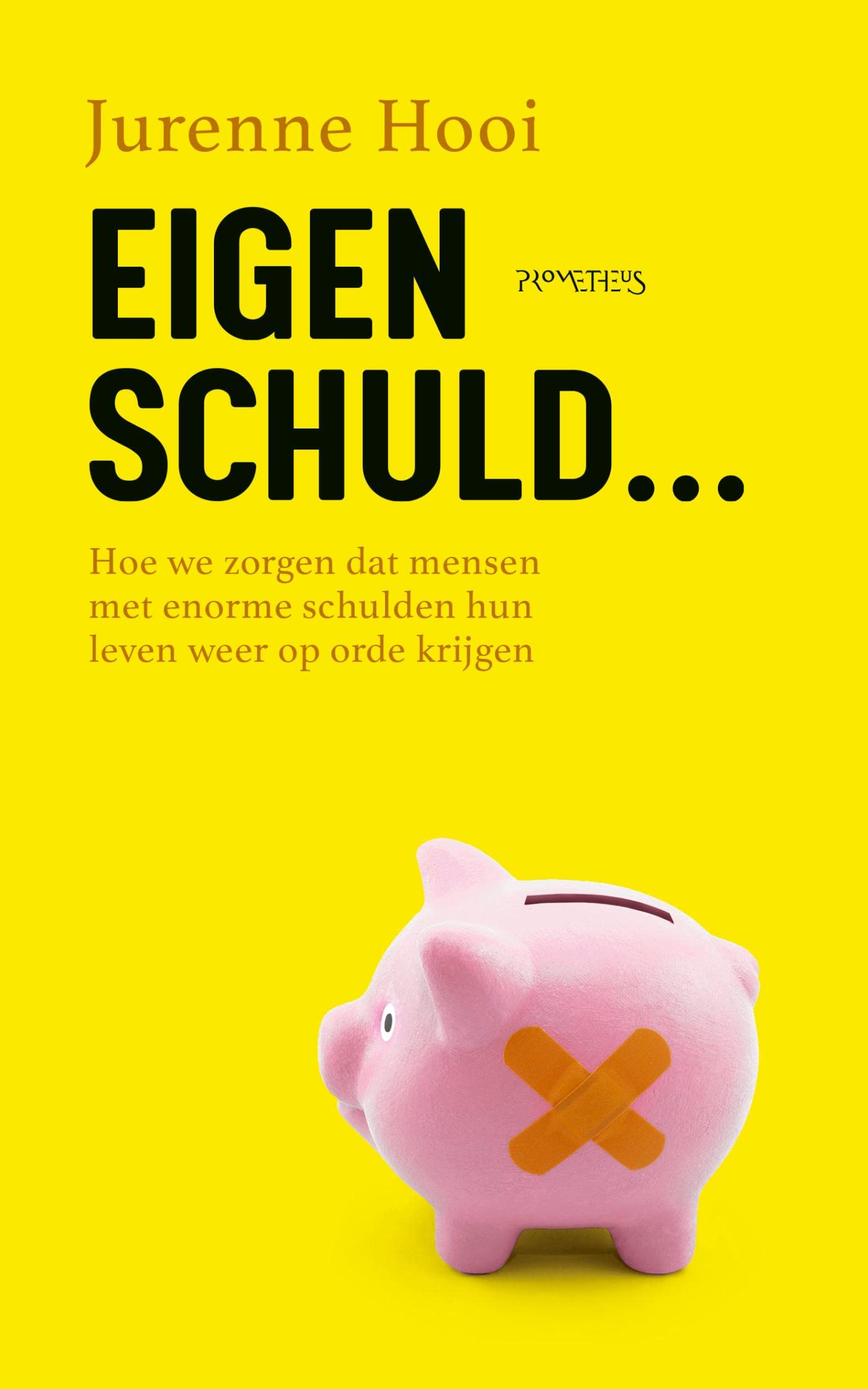 Eigen schuld (Dutch Edition) by Jurenne Hooi | Goodreads