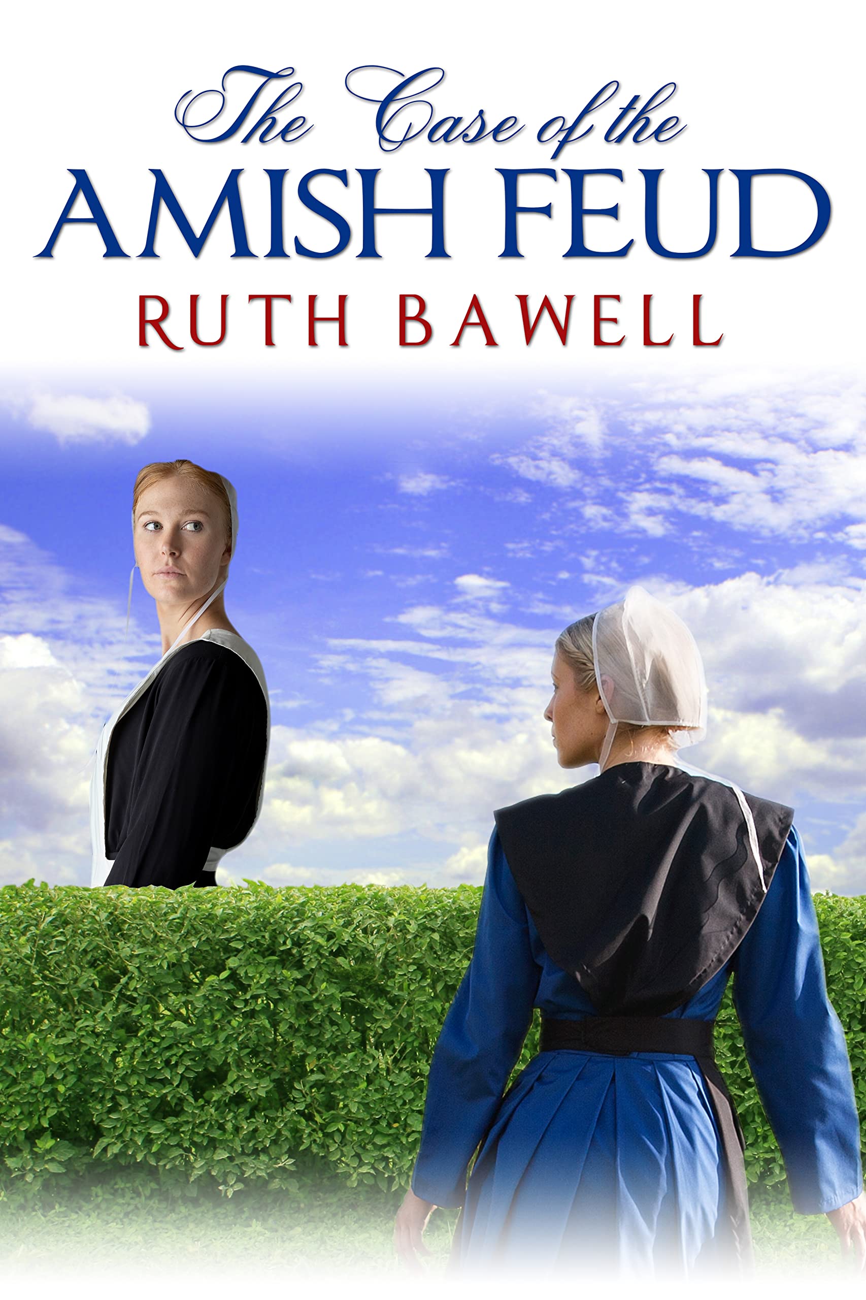 The Case of the Amish Feud (Pinecraft Mysteries #11) by Ruth Bawell ...