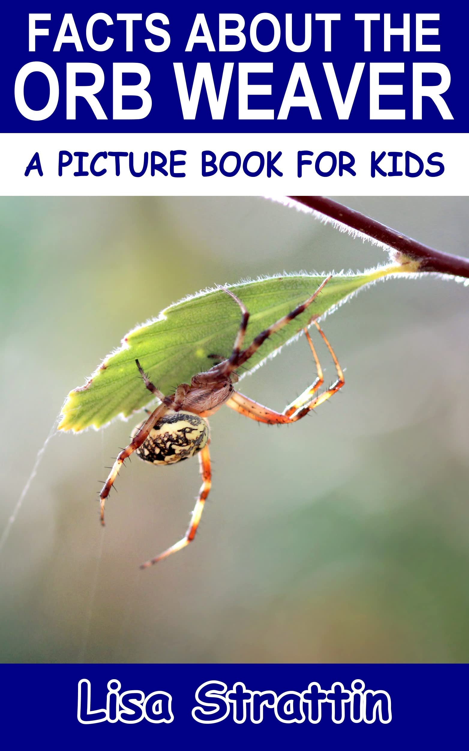 Facts About the Orb Weaver by Lisa Strattin | Goodreads