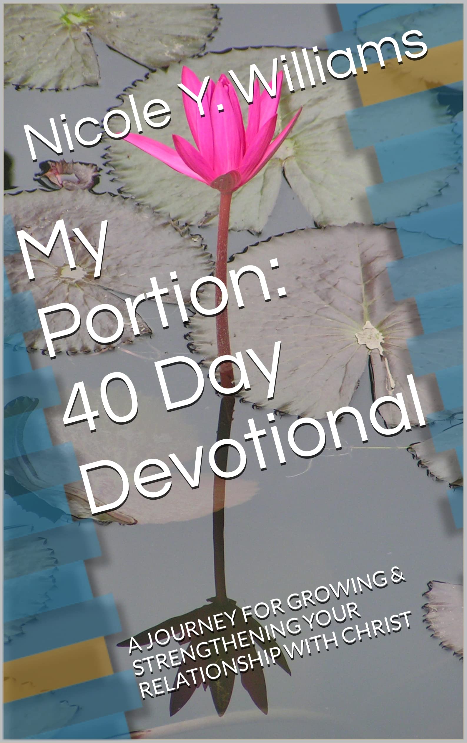 My Portion: 40 Day Devotional by Nicole Williams | Goodreads