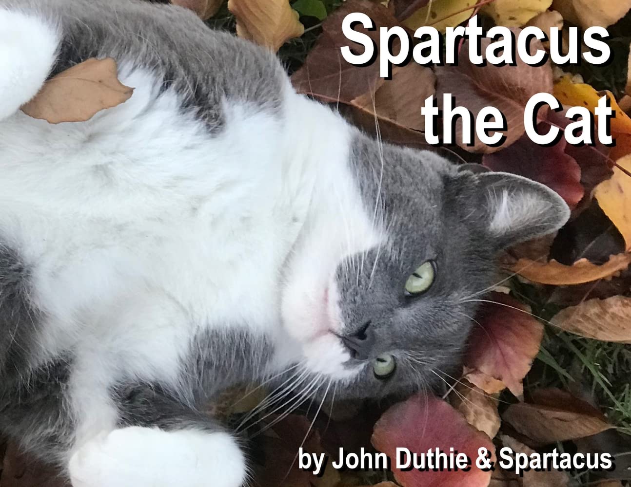 Spartacus the Cat by John Duthie | Goodreads