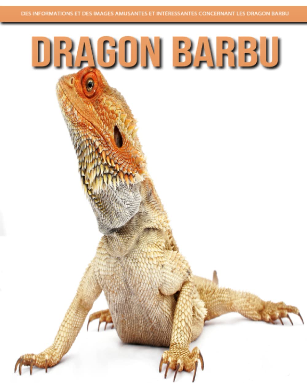 Dragon Barbu – Des Informations et des Images Amusantes et ...