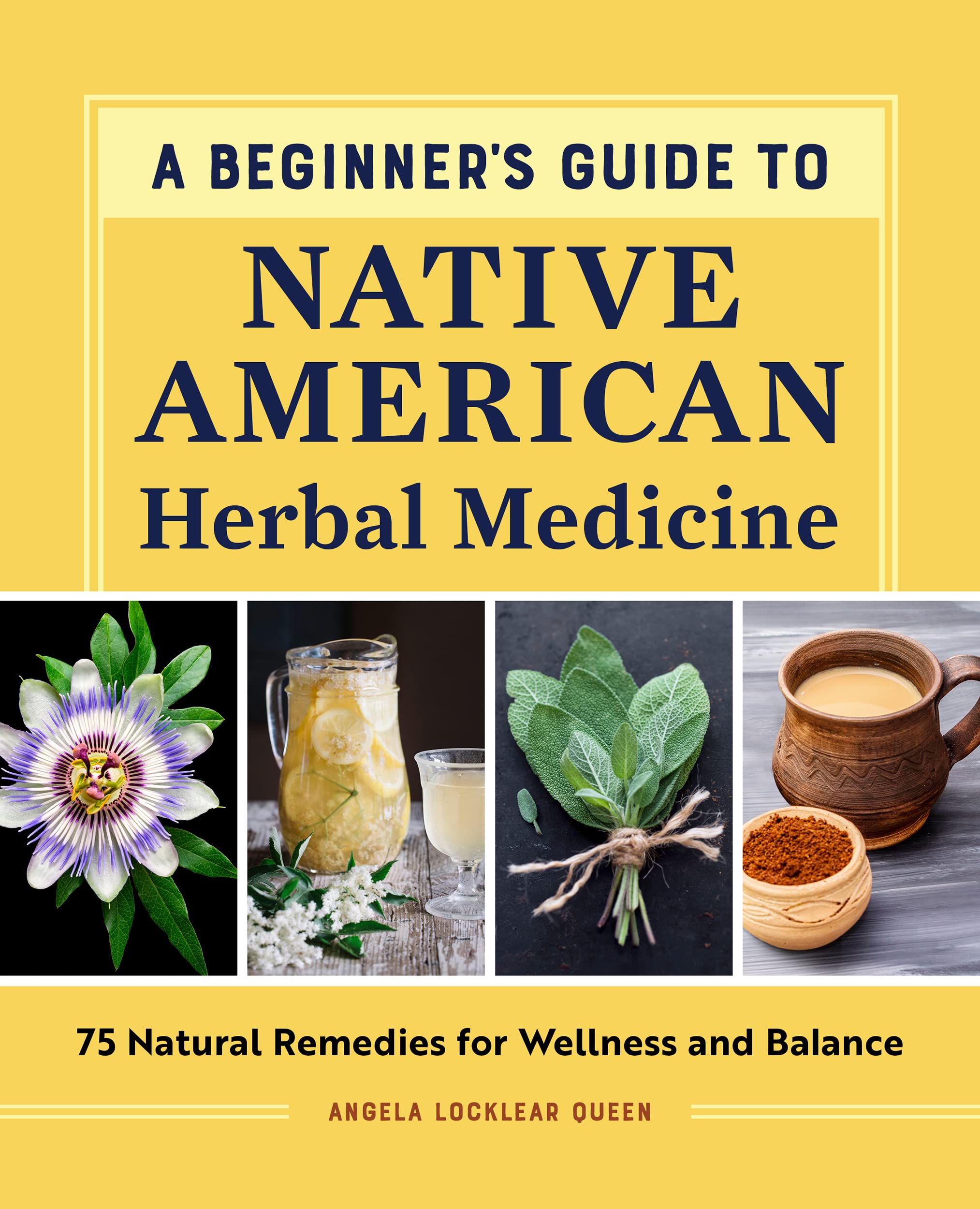A Beginner's Guide to Native American Herbal Medicine: 75 Natural ...