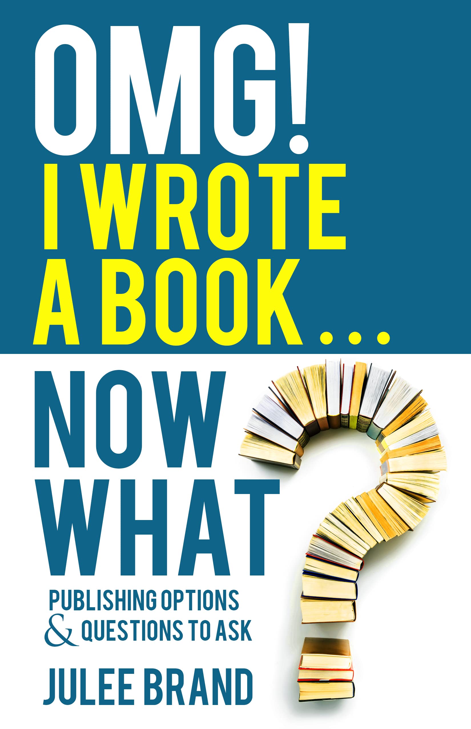 OMG! I Wrote a Book ... Now What?: Publishing Options & Questions to ...