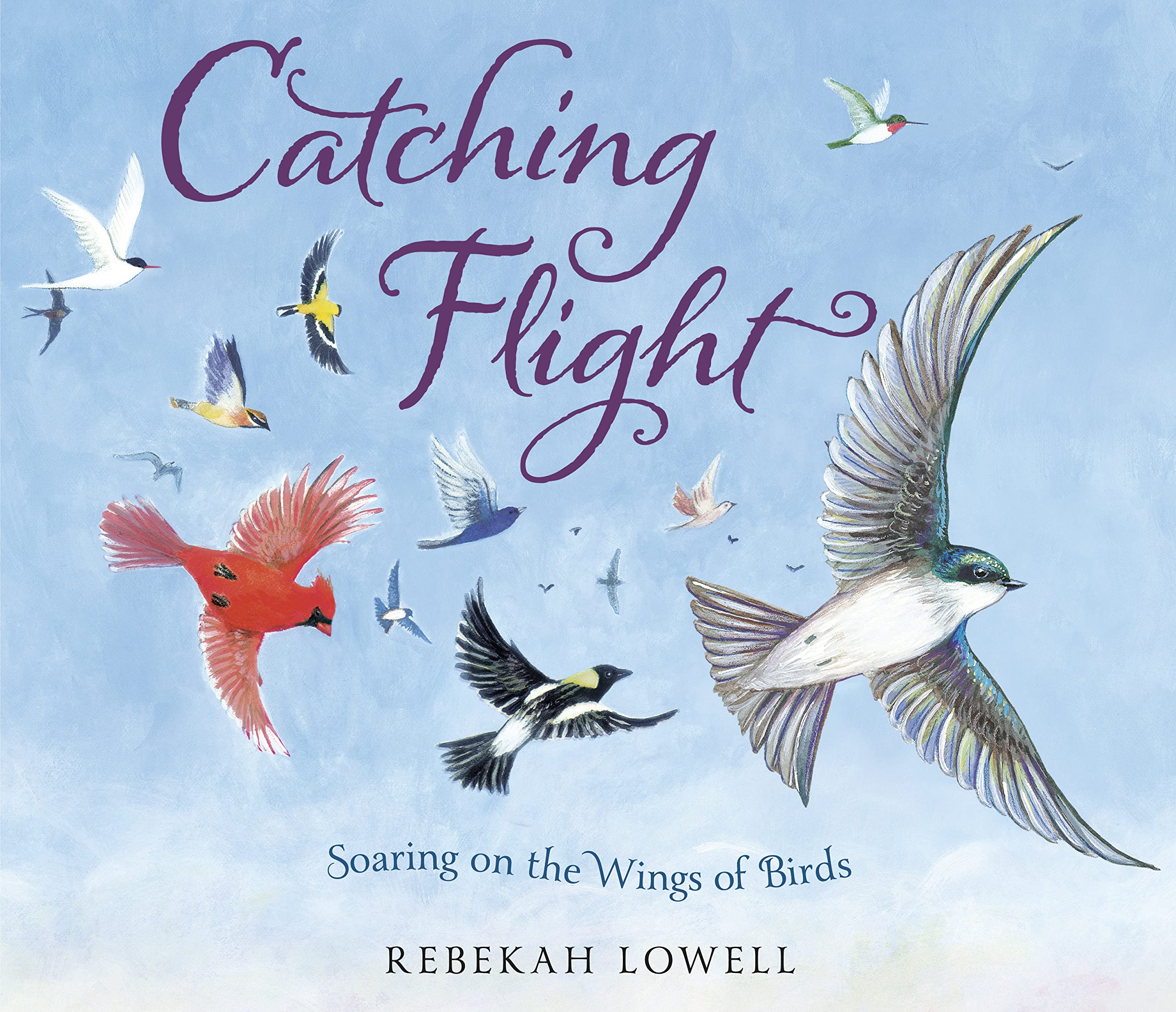 Catching Flight: Soaring on the Wings of Birds by Rebekah Lowell ...