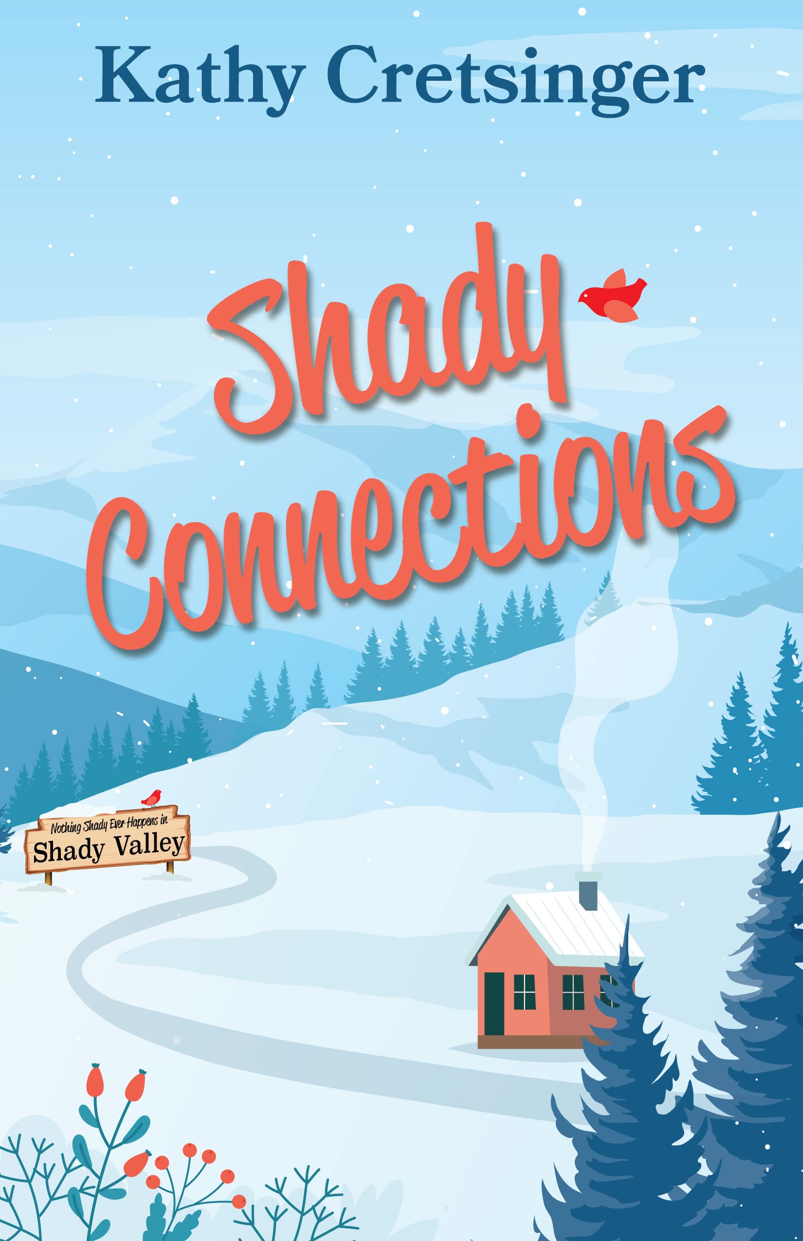 Shady Connections: Nothing Shady Ever Happens In Shady Valley by Kathy ...