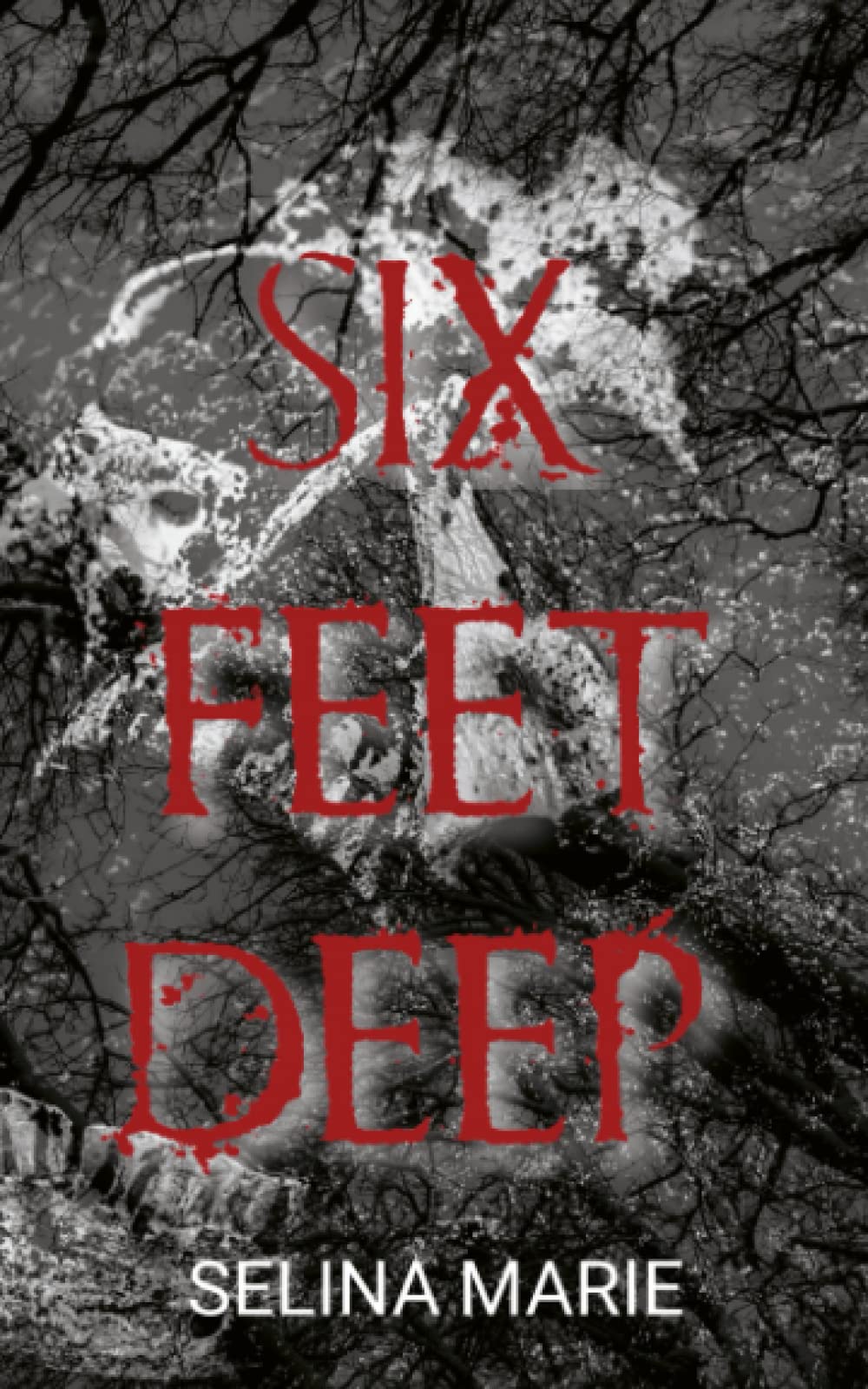 Six Feet Deep: The Rosendown Boys Duet #1 by Selina Marie | Goodreads