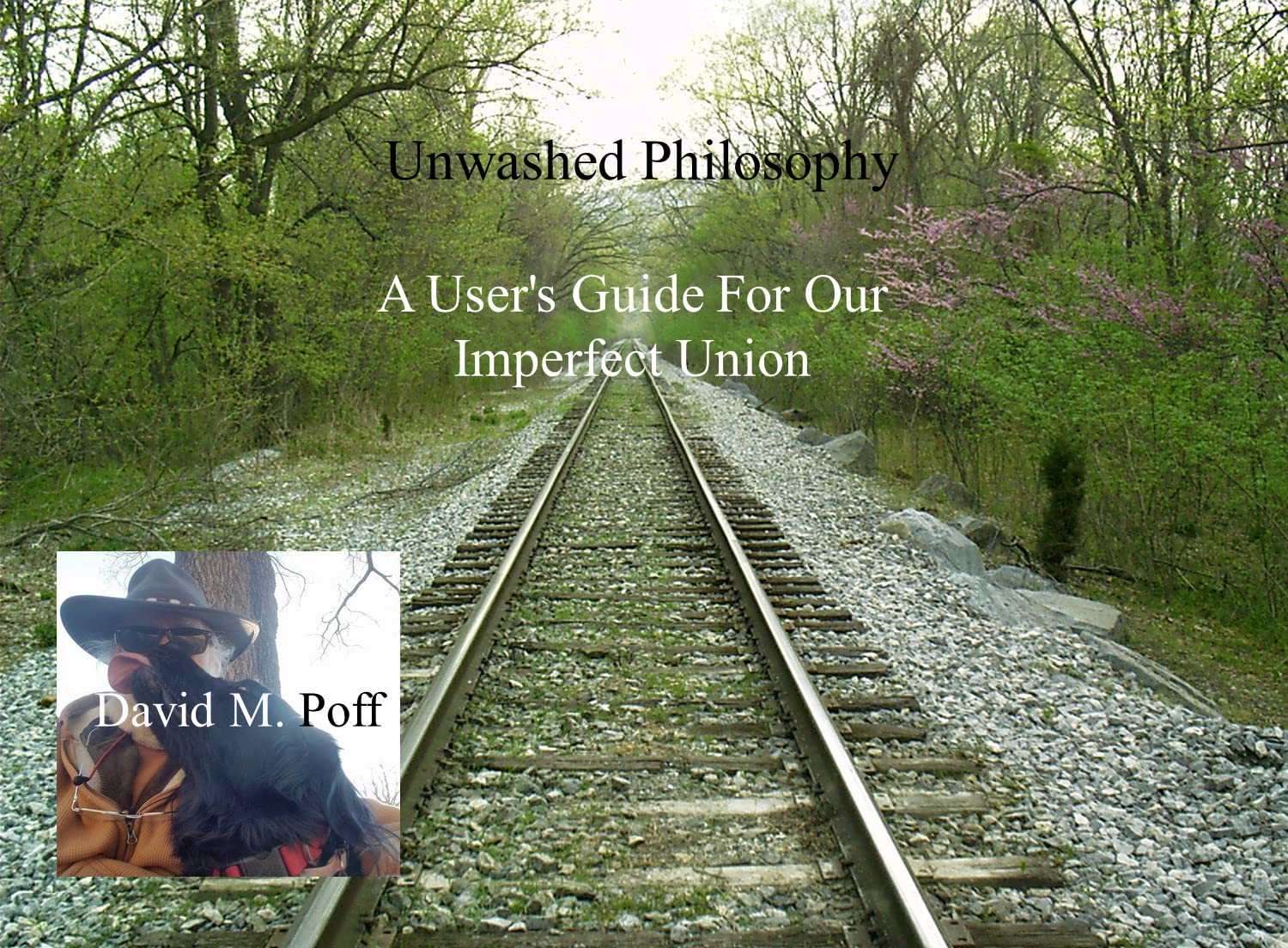Unwashed Philosophy: A User's Guide To Our Imperfect Union by David M ...
