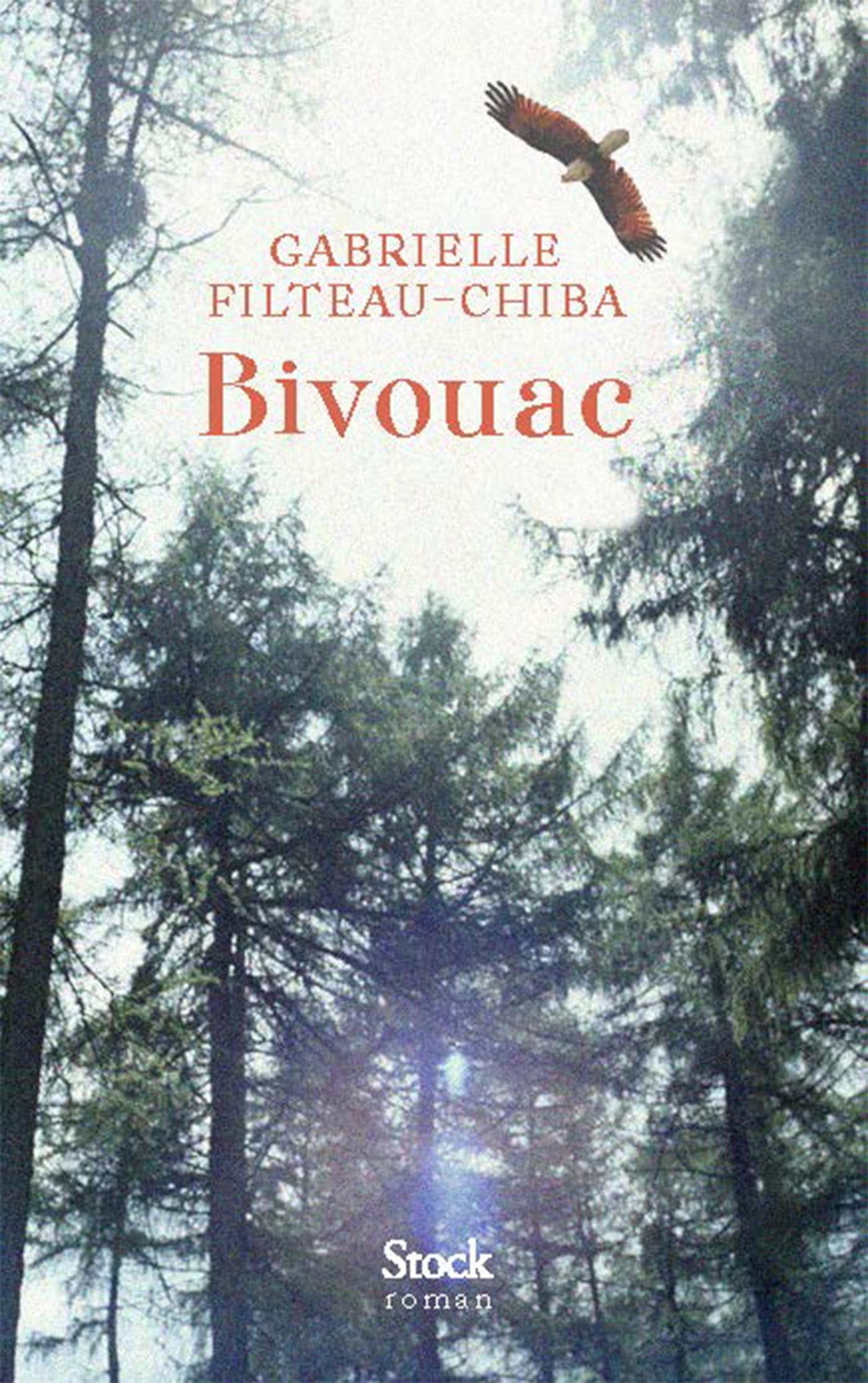 Bivouac (La Bleue) (French Edition) by Gabrielle Filteau-Chiba | Goodreads