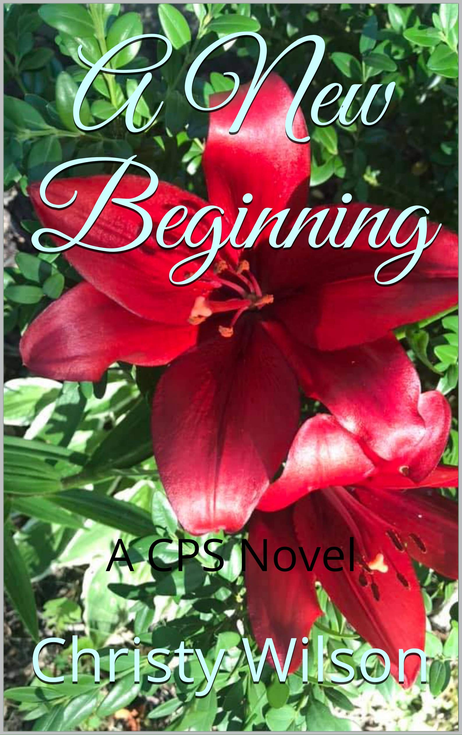 A New Beginning - A CPS Novel #7: by Christy Wilson | Goodreads