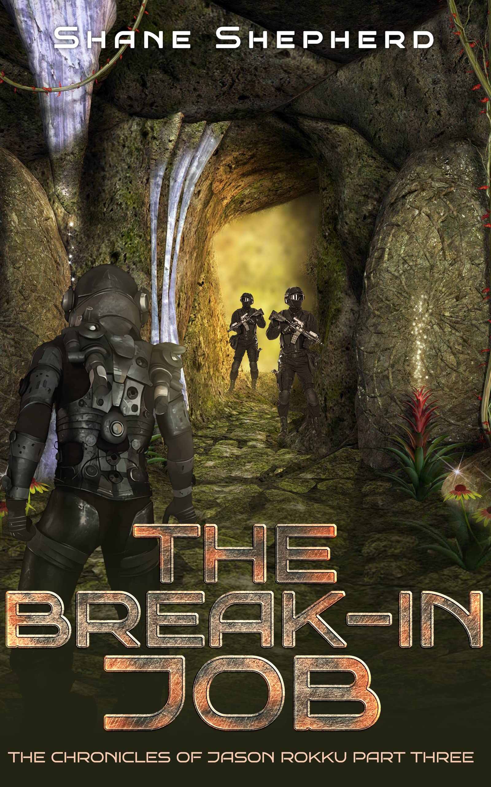 The Break-In Job by Shane Shepherd | Goodreads