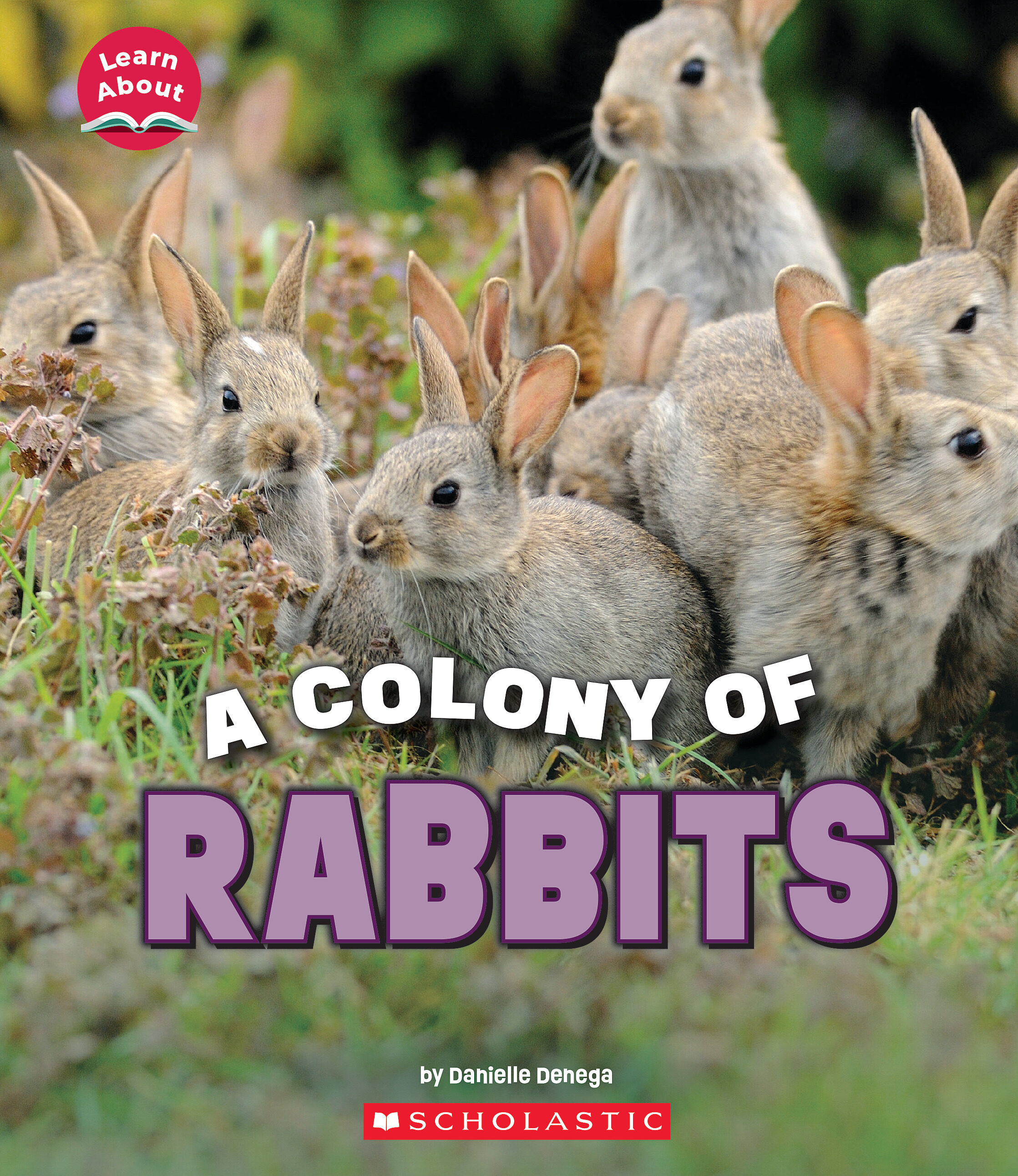 A Colony of Rabbits (Learn About: Animals) by Danielle Denega | Goodreads