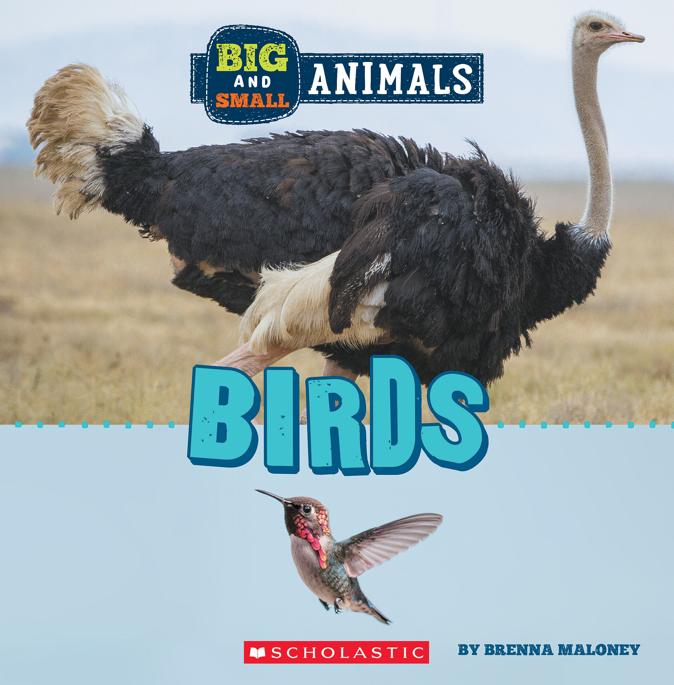 Birds (Wild World: Big and Small Animals) by Brenna Maloney | Goodreads
