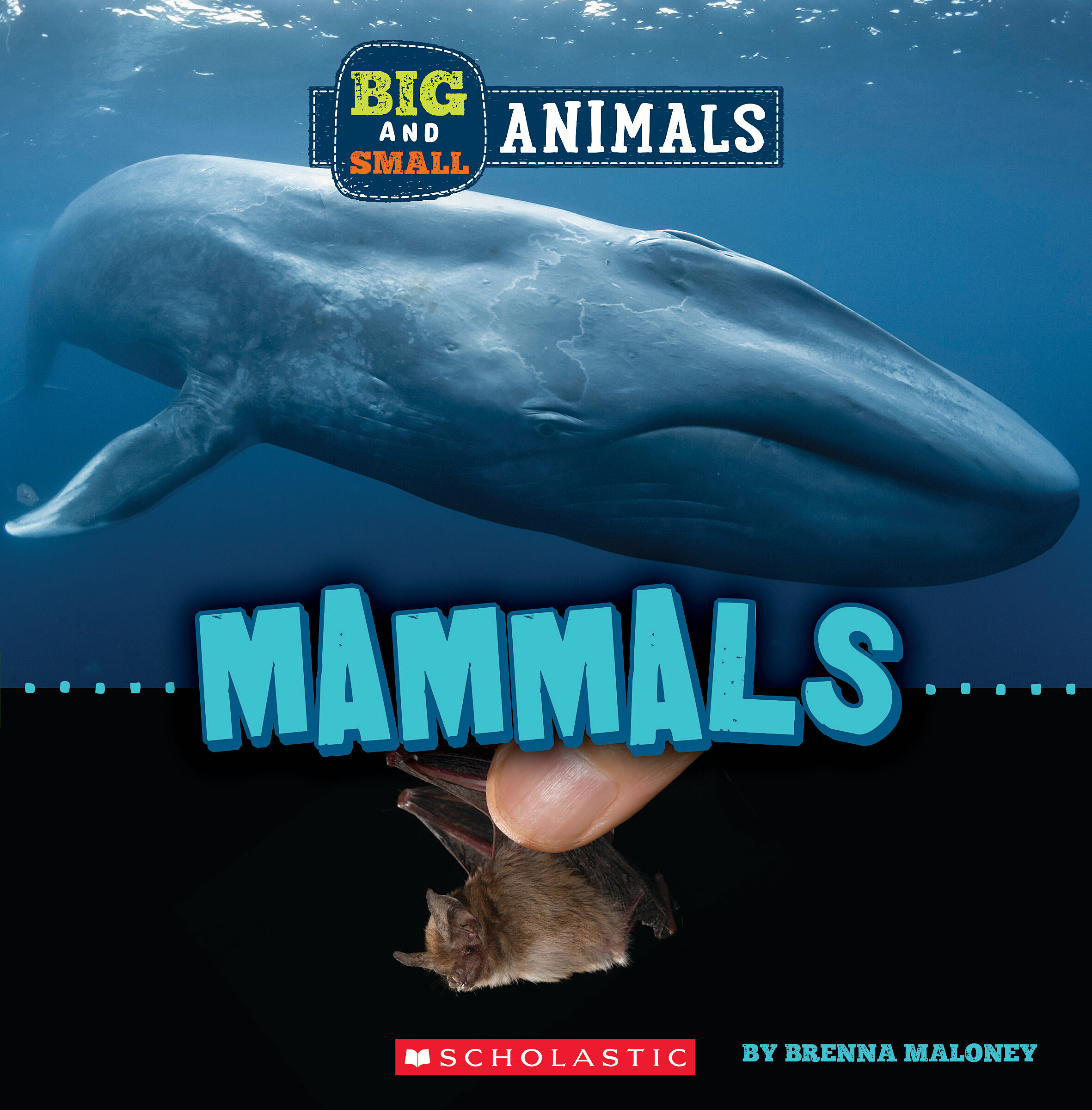 Mammals (Wild World: Big and Small Animals) by Brenna Maloney | Goodreads