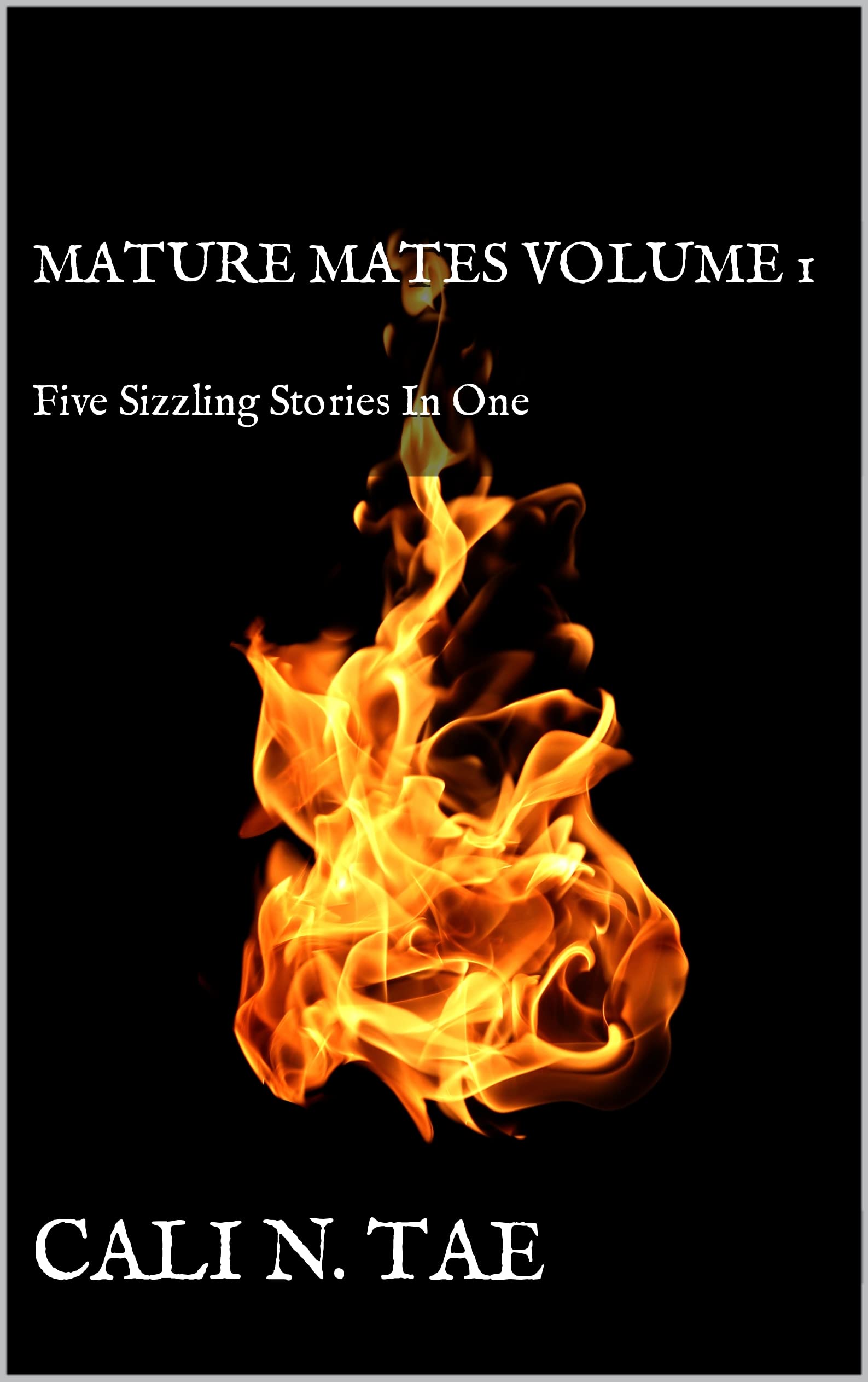 Mature Mates Volume 1 (BWWM Romances): Five Sizzling Stories In One ...