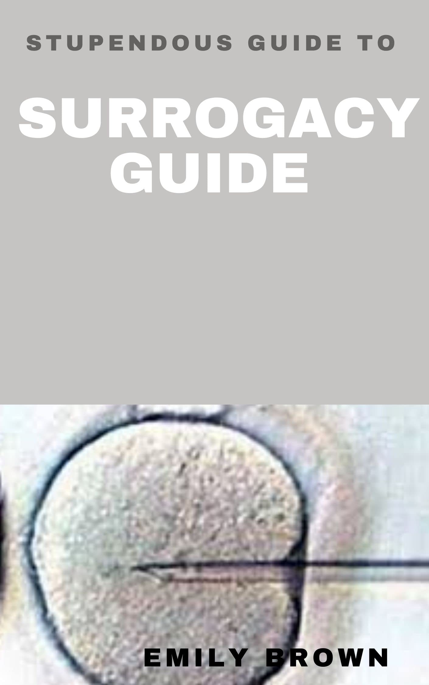 STUPENDOUS GUIDE TO SURROGACY GUIDE by Emily Brown | Goodreads