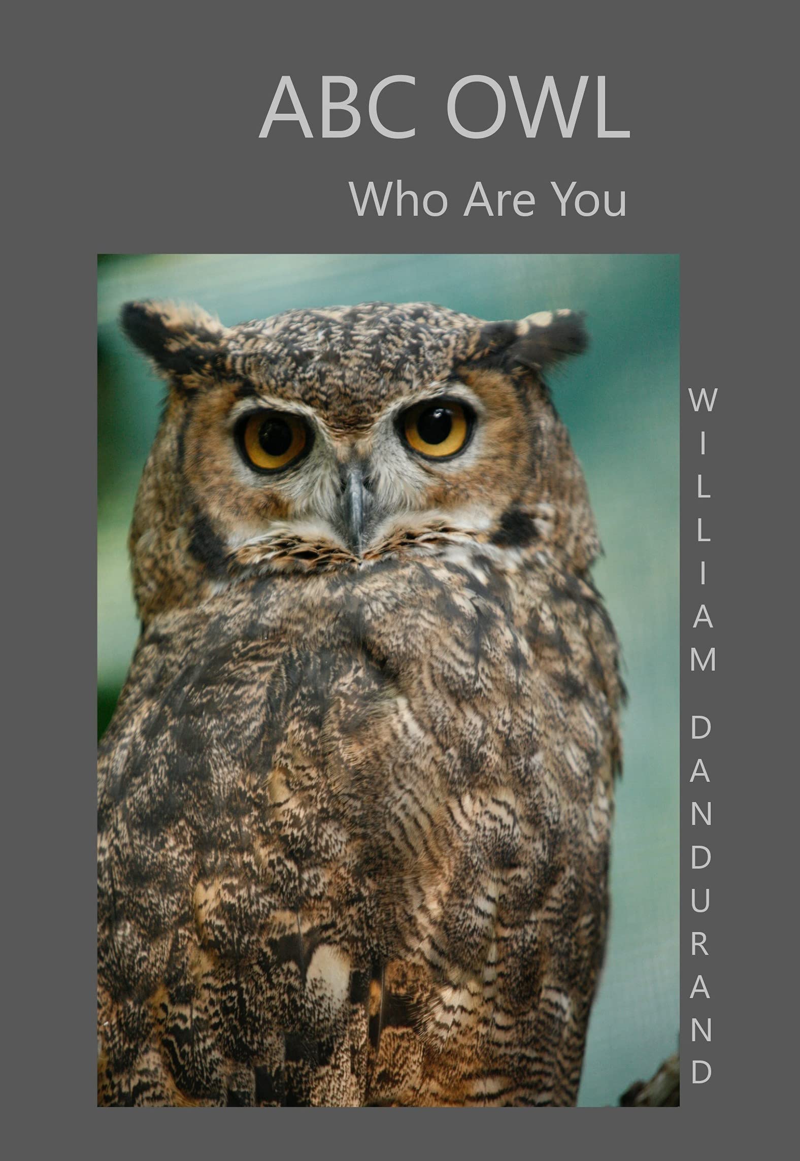 ABC Owl: Who Are You by William Dandurand | Goodreads