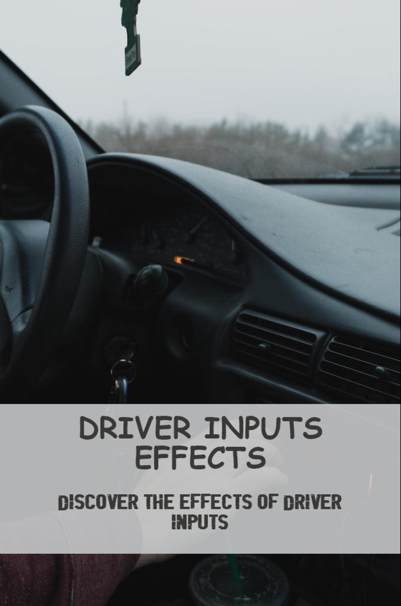 Driver Inputs Effects Discover The Effects Of Driver Inputs By Arminda driver-inputs-effects-discover-the-effects-of-driver-inputs-by-arminda