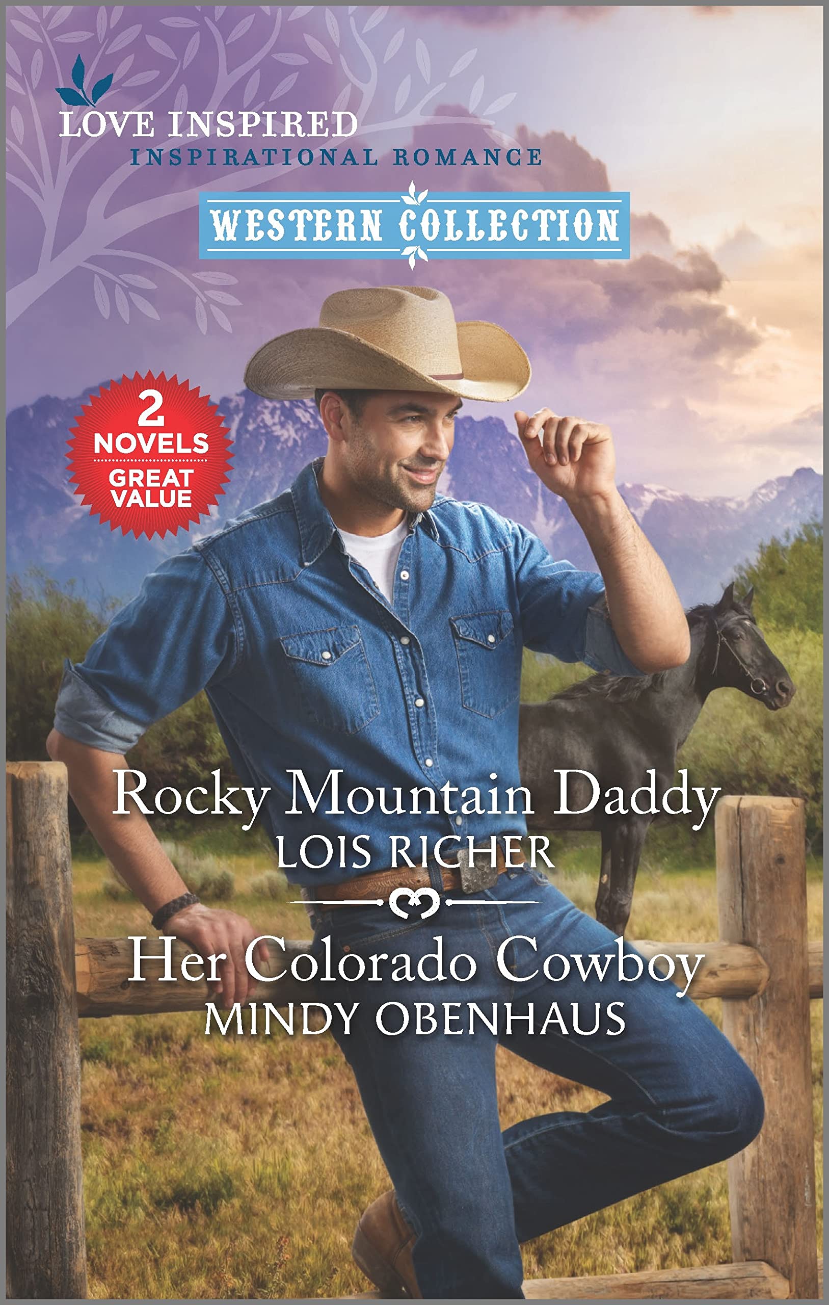 Rocky Mountain Daddy/Her Colorado Cowboy by Lois Richer | Goodreads