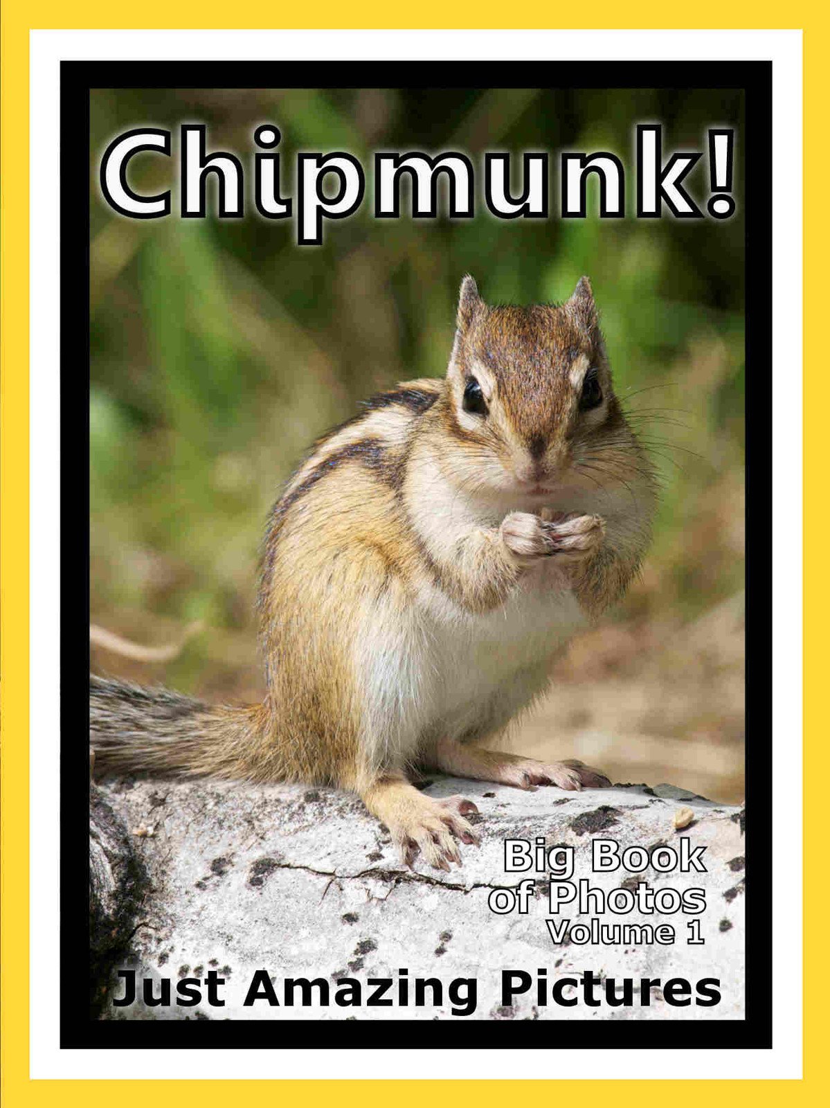 Just Chipmunk Photos! Big Book of Photographs & Pictures of Chipmunks ...