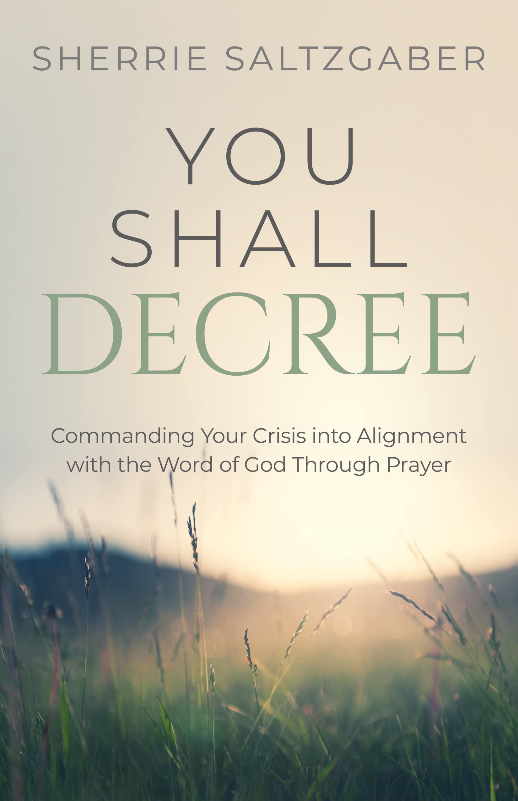 You Shall Decree: Commanding Your Crisis into Alignment with the Word ...
