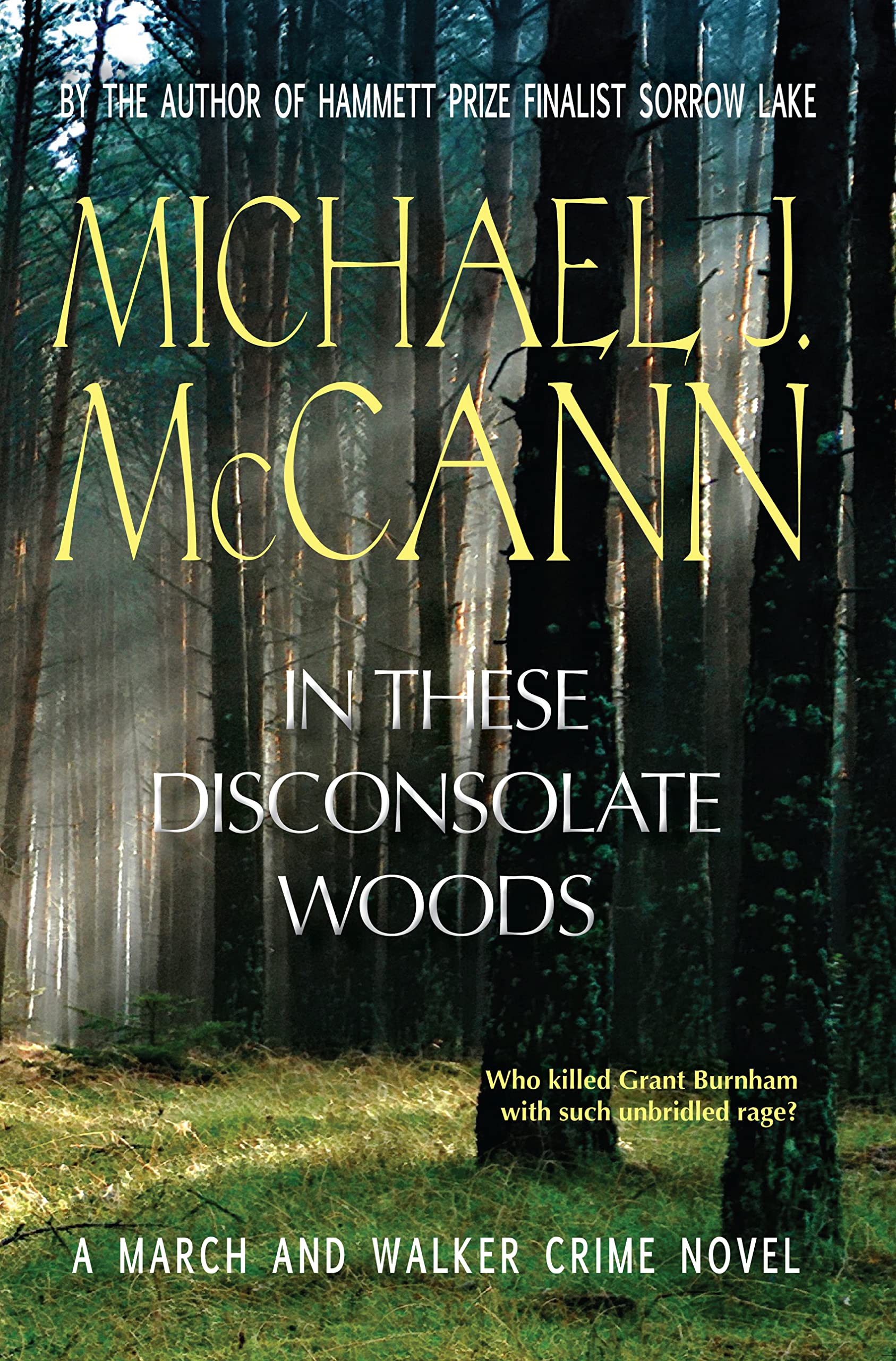 In These Disconsolate Woods by Michael J. McCann | Goodreads
