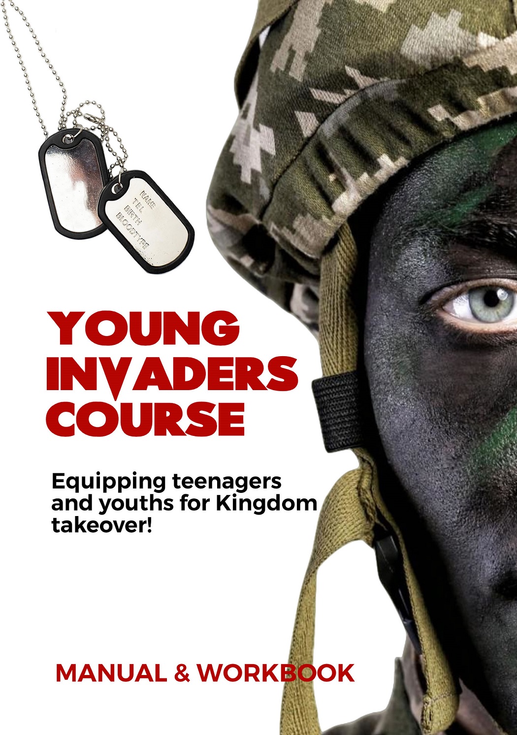 Young Invaders Course: Equipping Teenagers and Youths for Kingdom Takeover! by Femi Reis | Goodreads