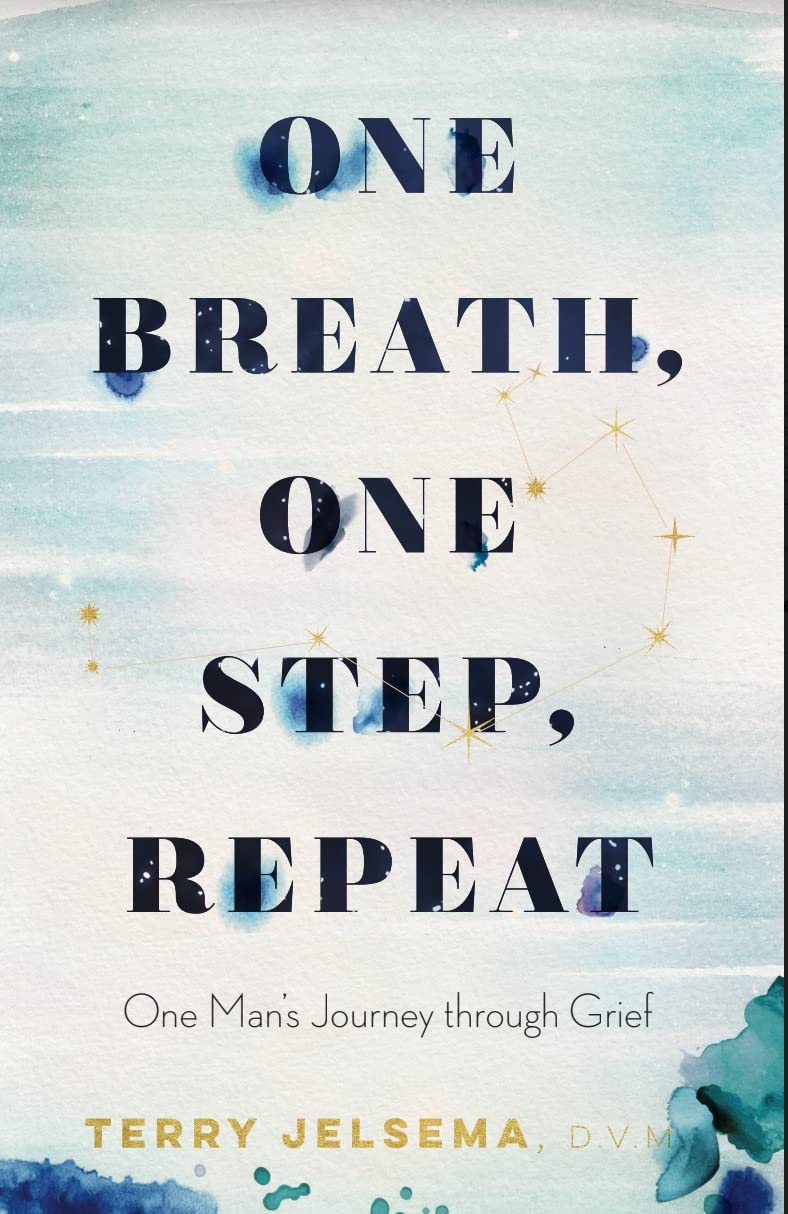 One Breath, One Step, Repeat: One Man's Journey through Grief by Terry Jelsema | Goodreads