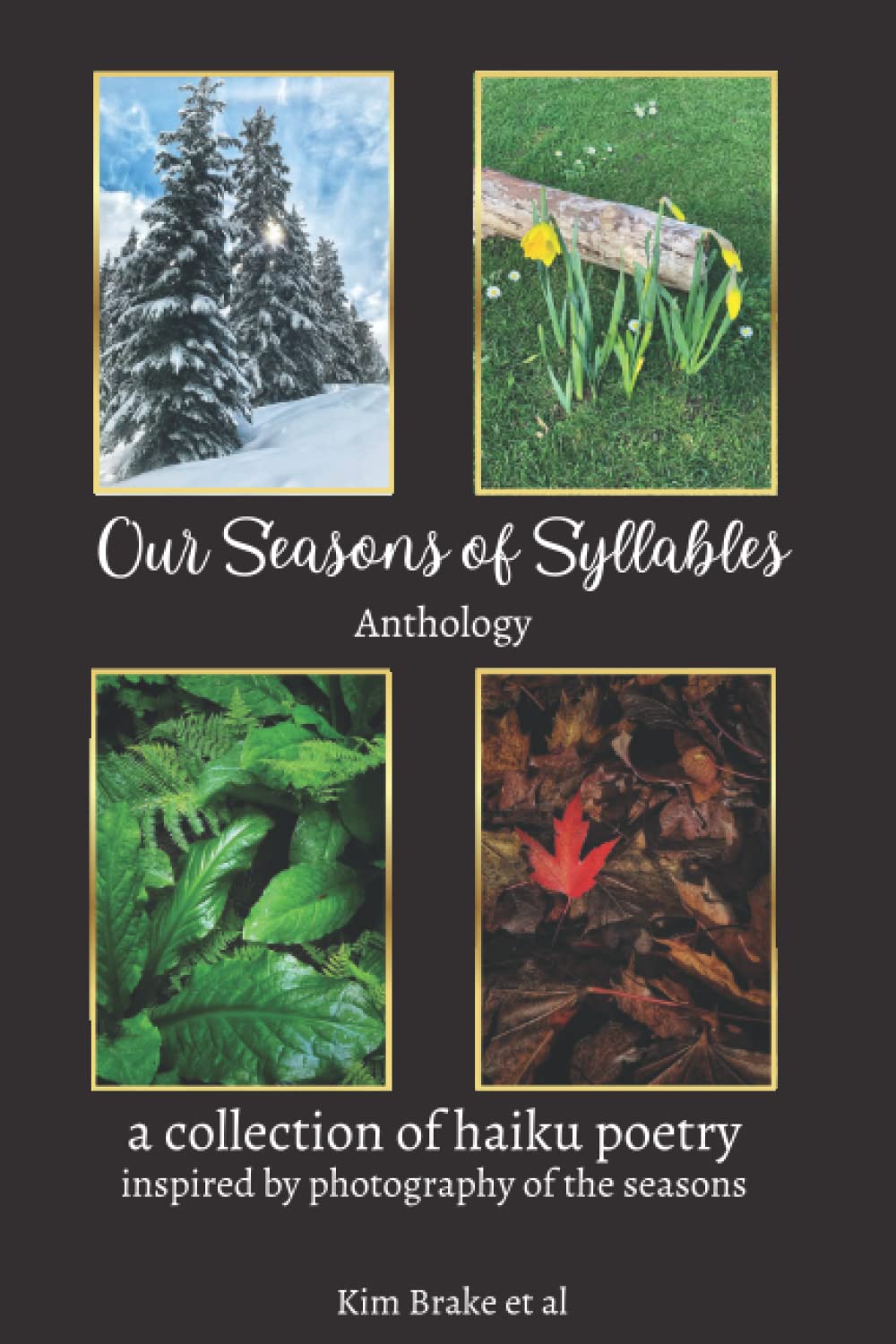 Our Seasons of Syllables by Kim Brake | Goodreads