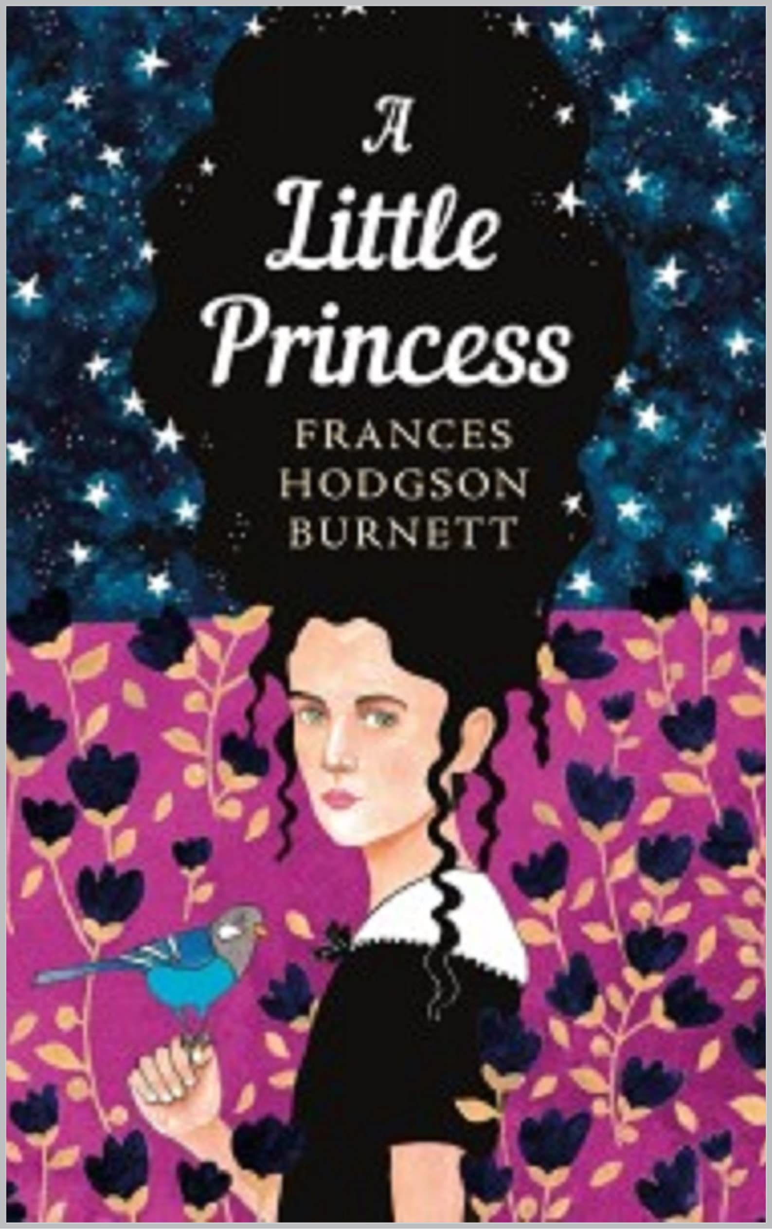 A Little Princess Illustrated by Frances Hodgson Burnett | Goodreads