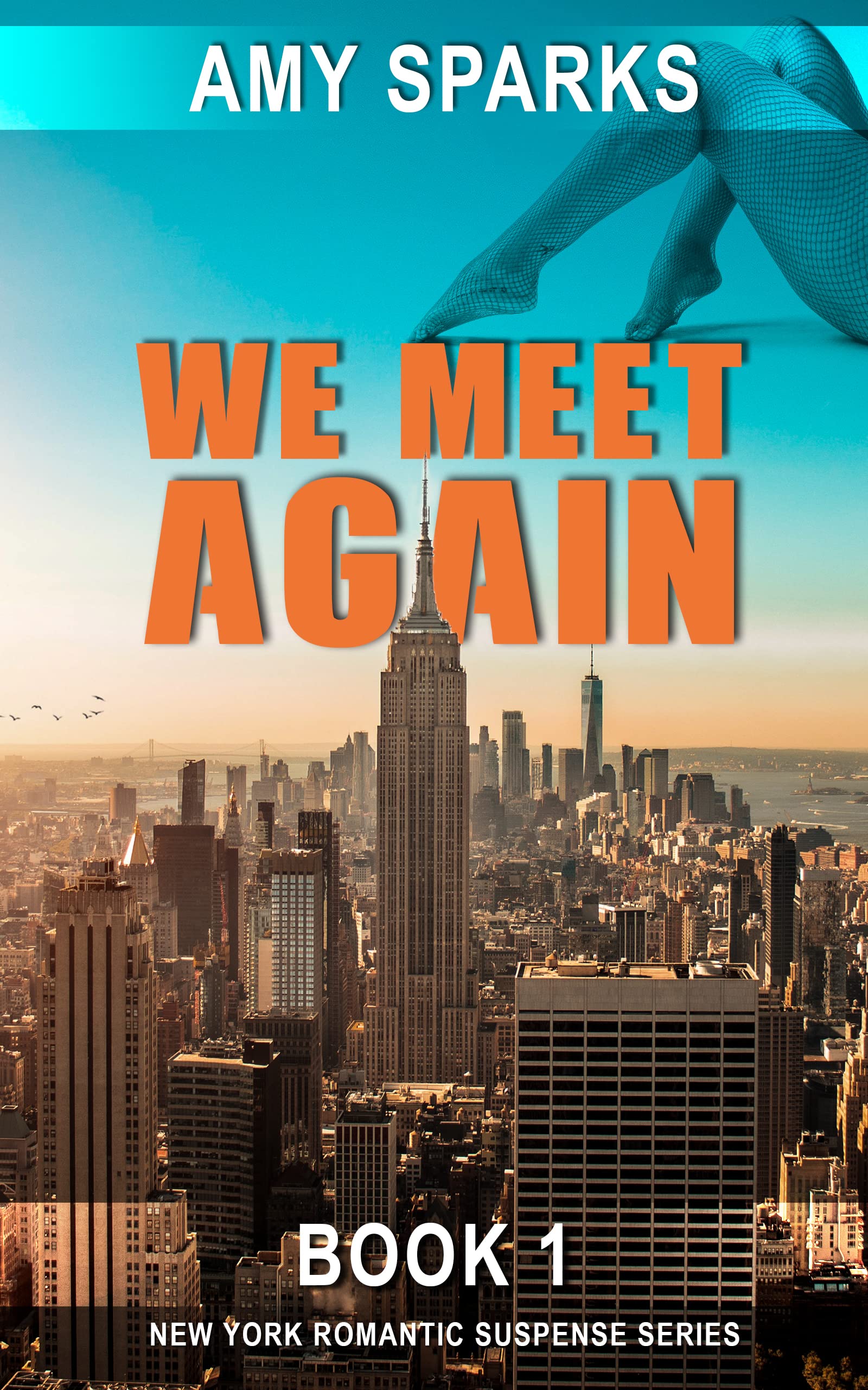 We Meet Again by Amy Sparks | Goodreads