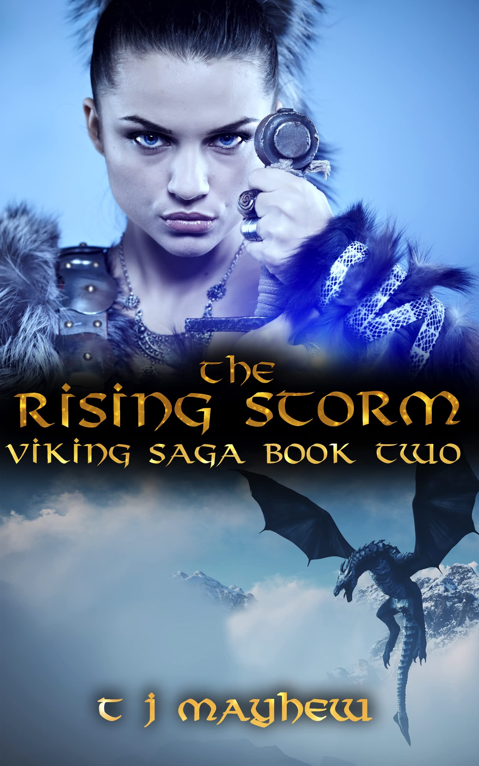 The Rising Storm: The Viking Saga Book 2 by T J Mayhew | Goodreads