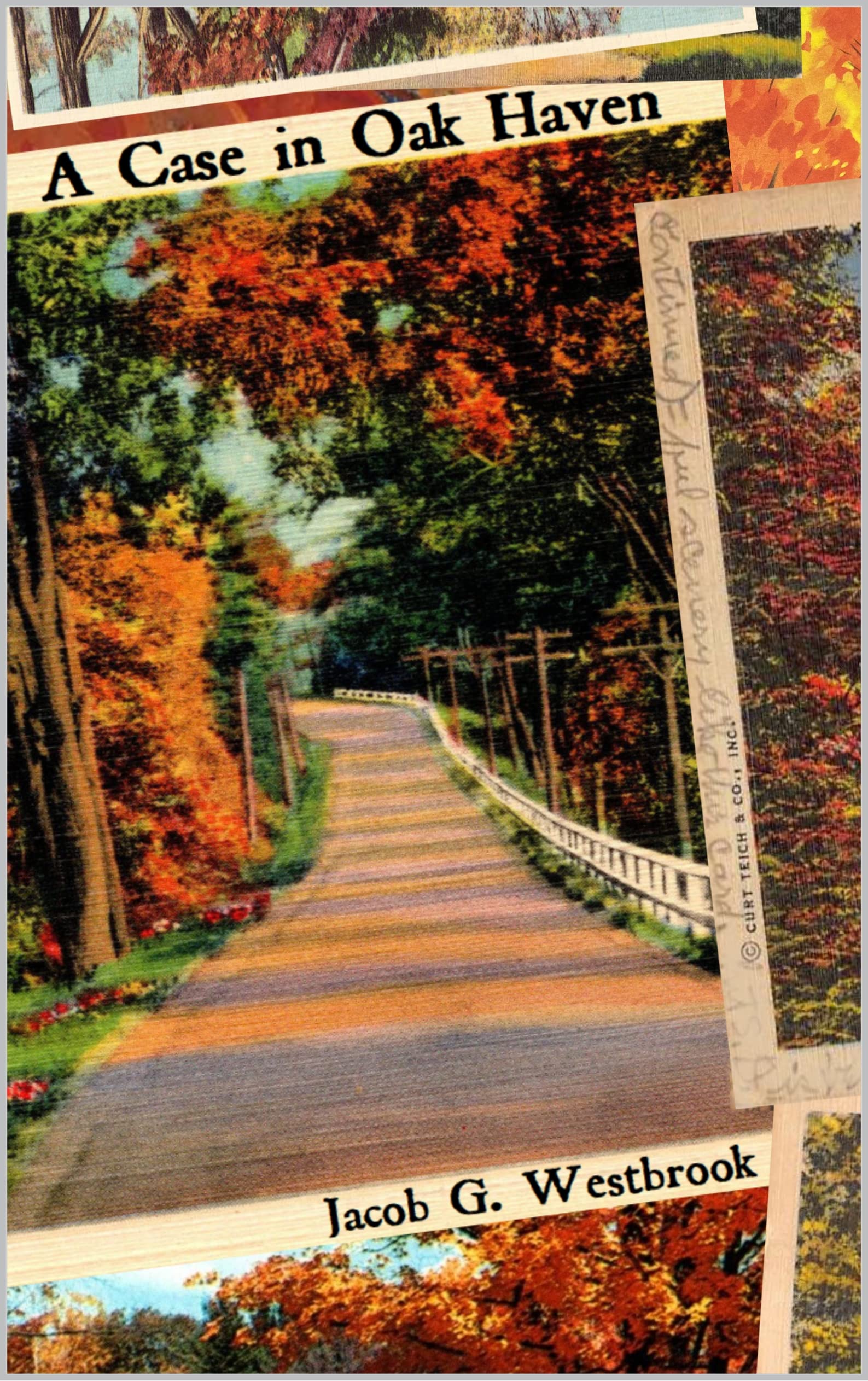 A Case in Oak Haven by Jacob Westbrook | Goodreads