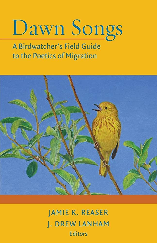 Dawn Songs: A Birdwatcher's Field Guide to the Poetics of Migration by ...